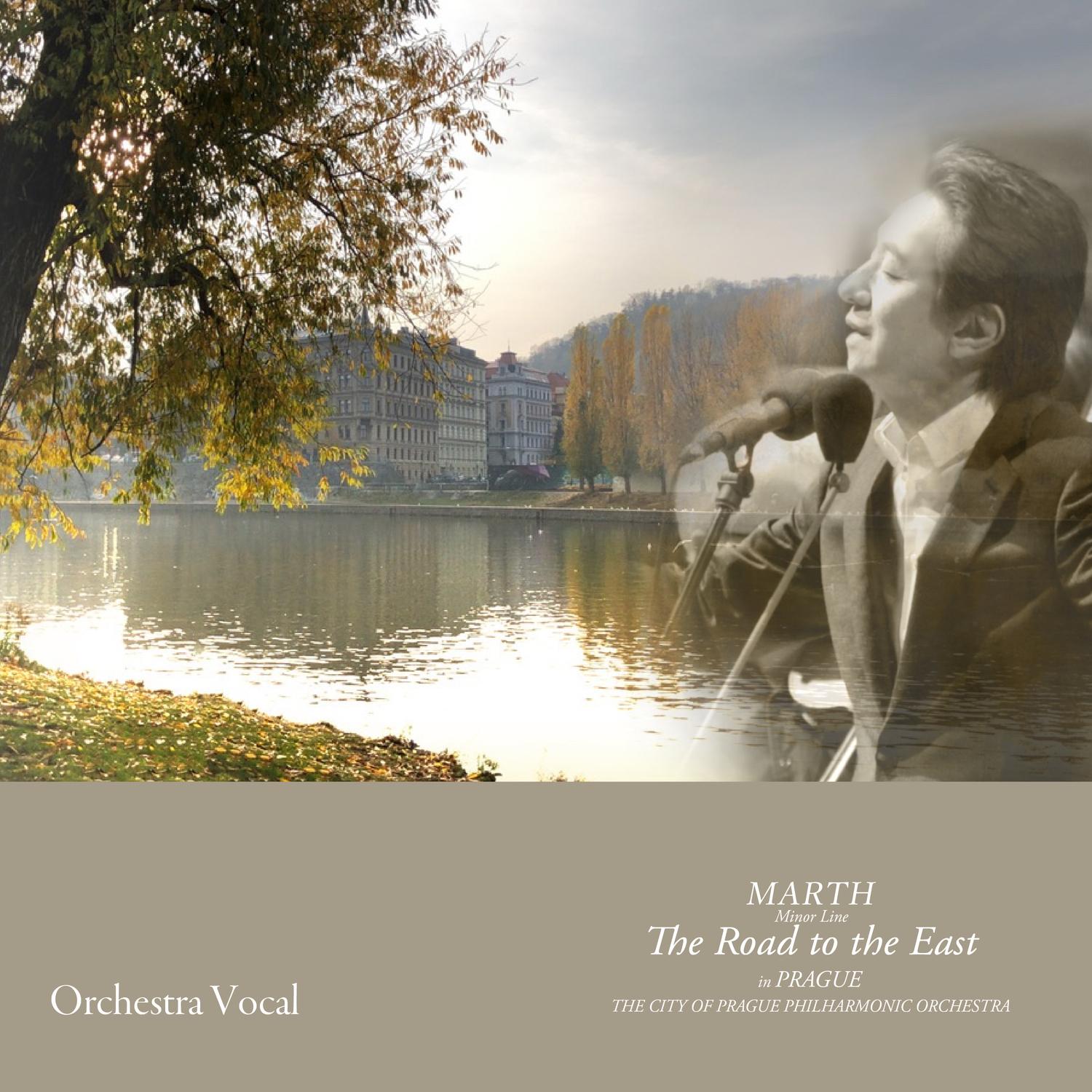 The Earth Song (Studio Version with Vocal) - MARTH - 单曲 - 网易云音乐