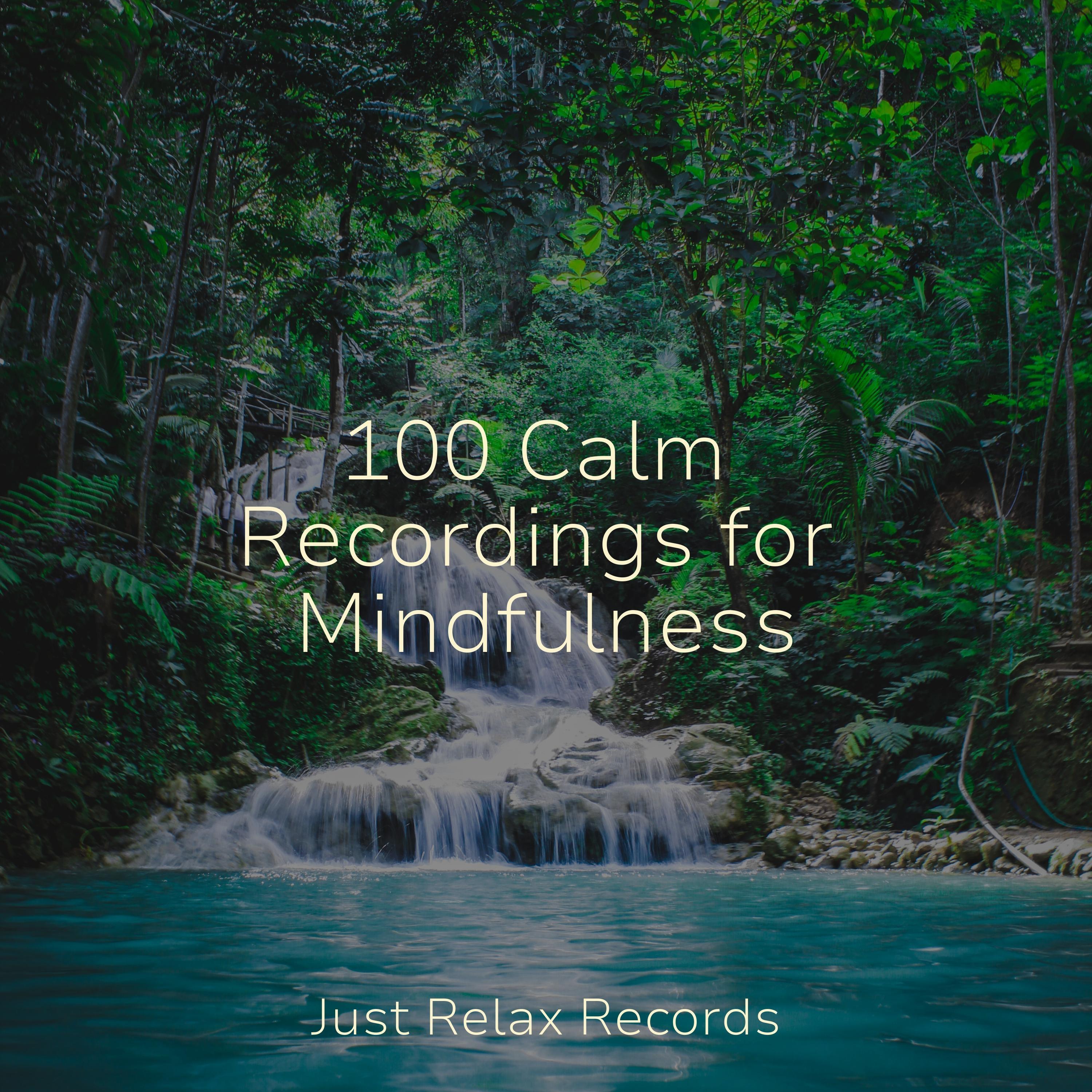 Blissful Lullaby of Stillness - Relajación/Exam Study Classical Music ...