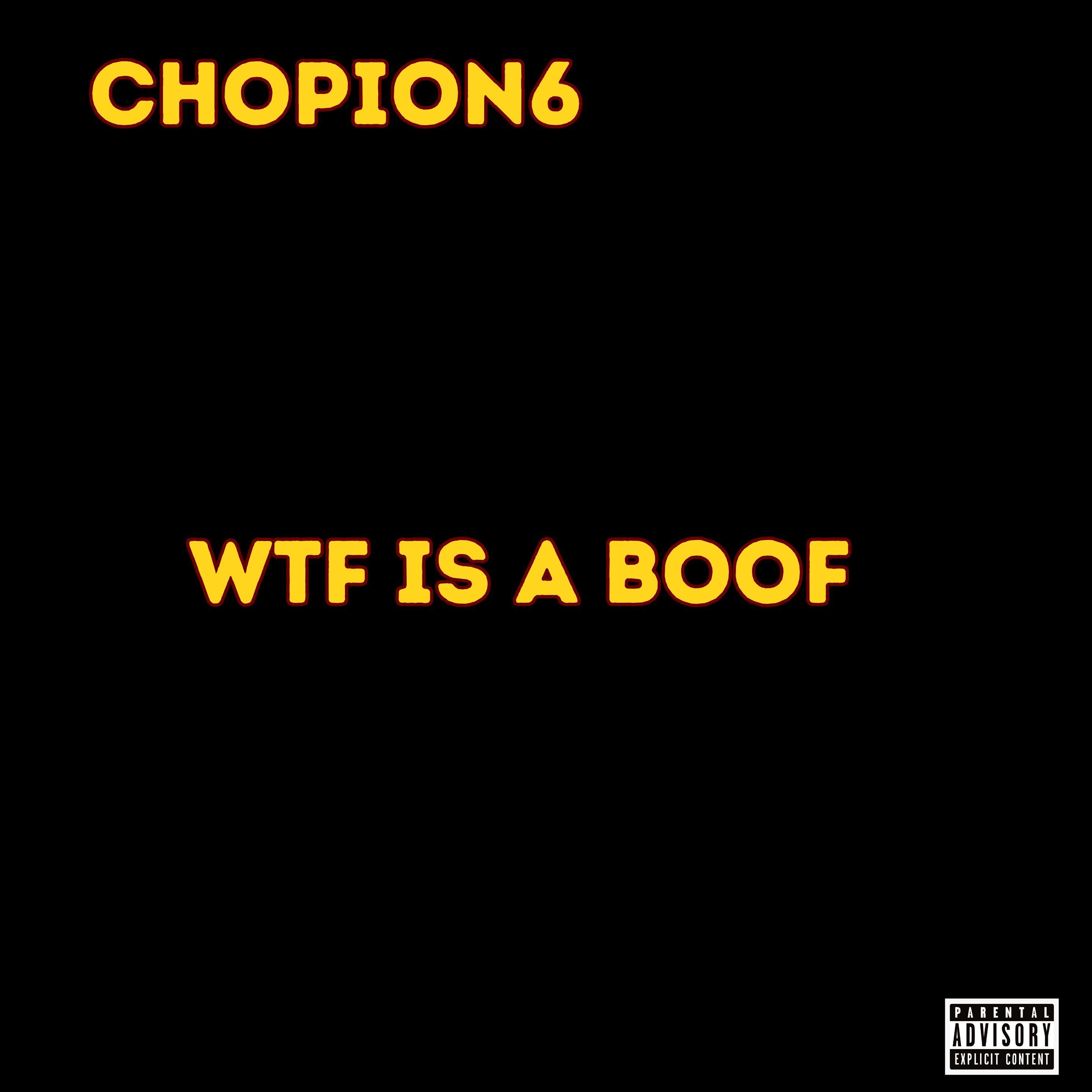 Wtf Is a Boof - Chopion6 - 单曲 - 网易云音乐