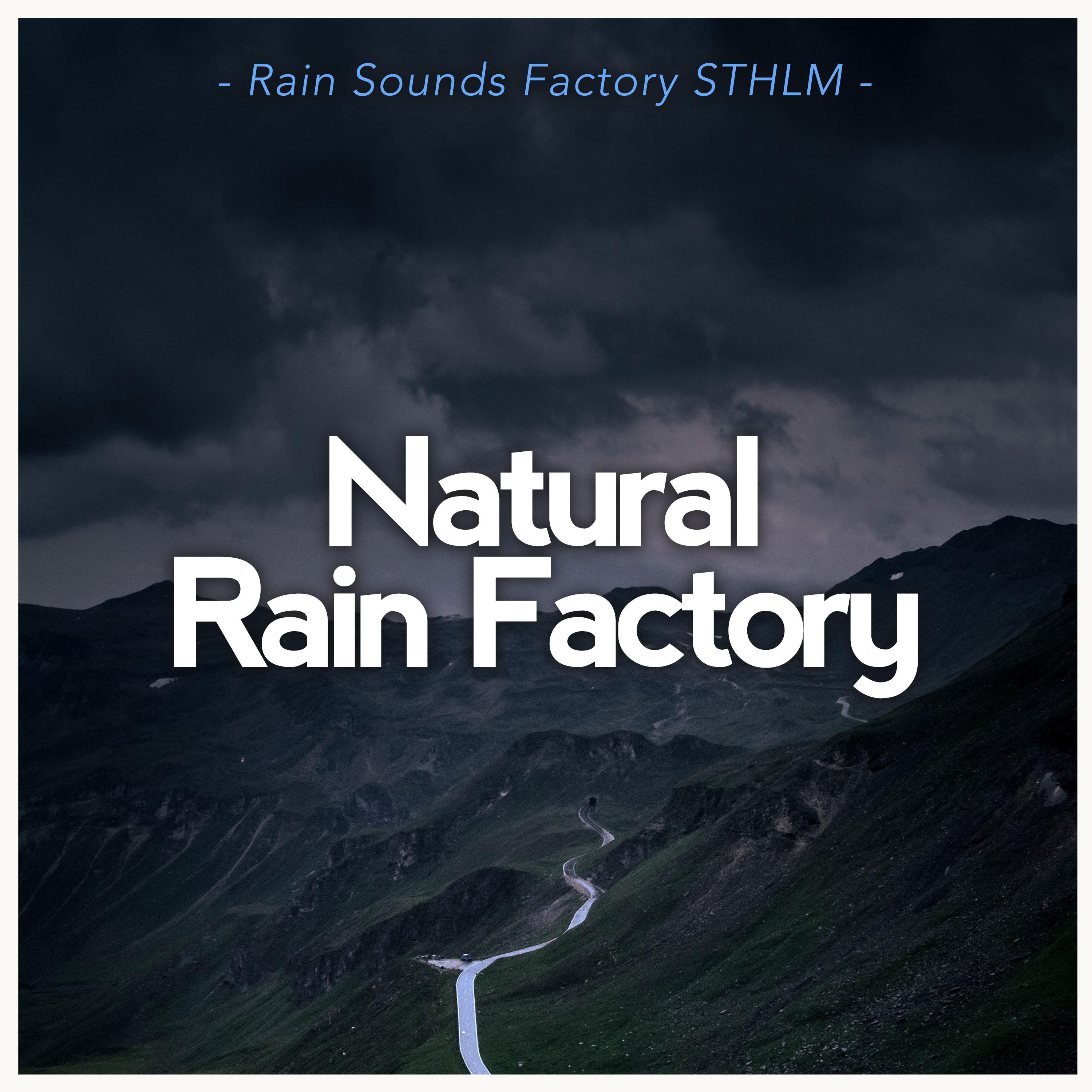 Heavy Winter Weather - Rain Sounds Factory STHLM - 单曲 - 网易云音乐