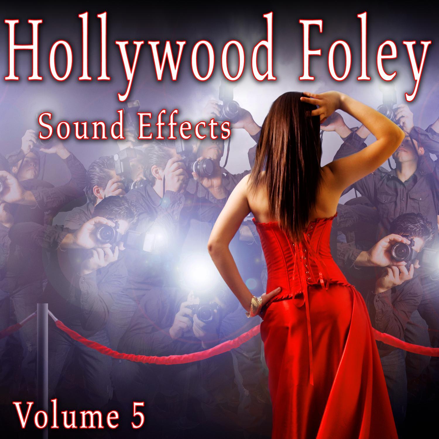 Dinner Plates and Glass Crash to the Floor - The Hollywood Edge Sound ...