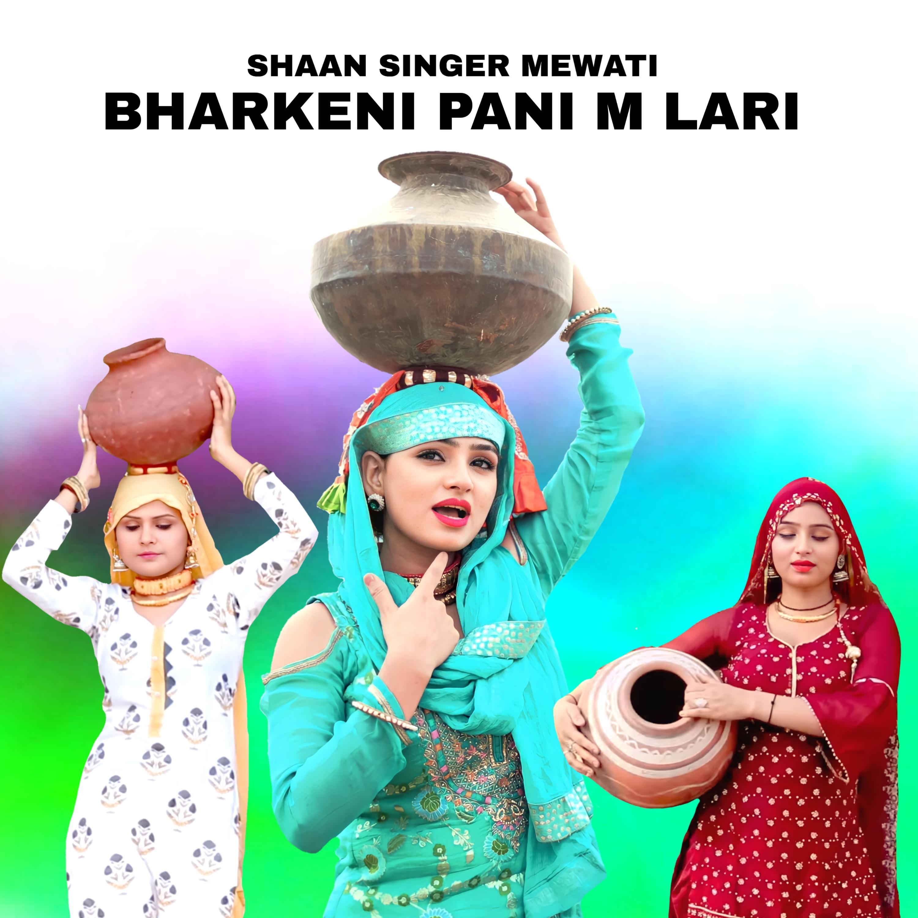 Bharkeni Pani M Lari - Shaan Singer Mewati - 单曲 - 网易云音乐