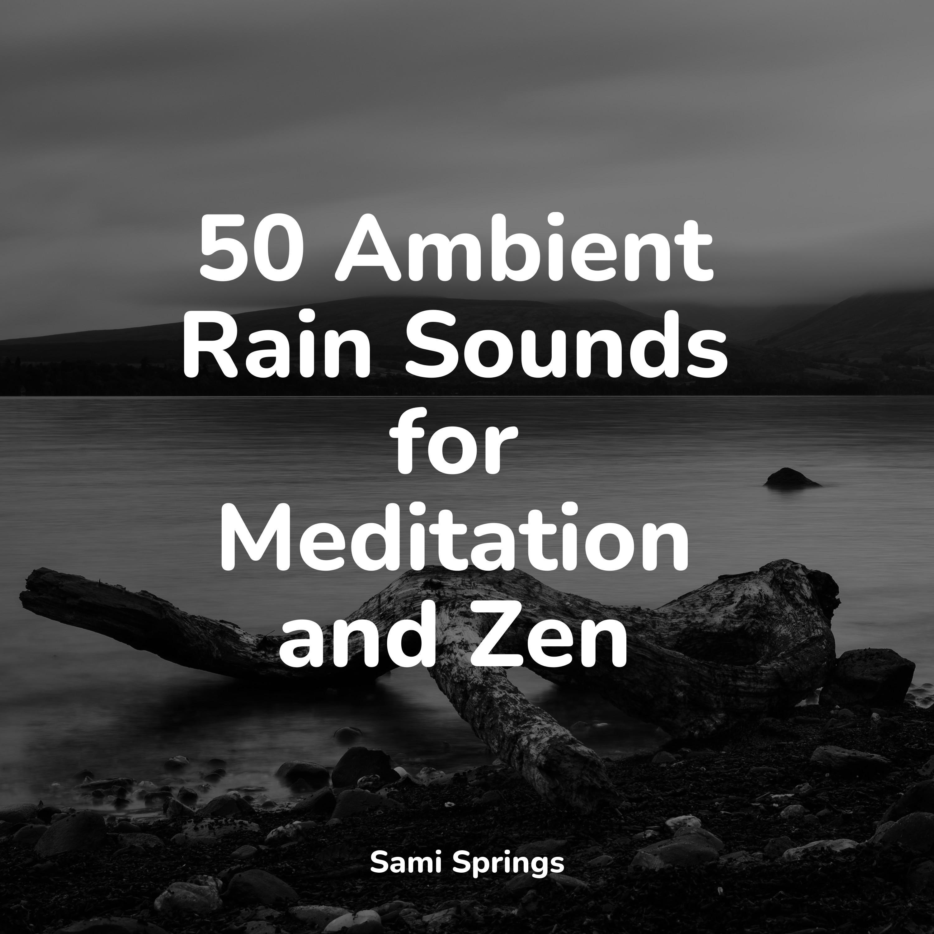 50 Ambient Rain Sounds for Meditation and Zen - Rain Sounds - 专辑 - 网易云音乐