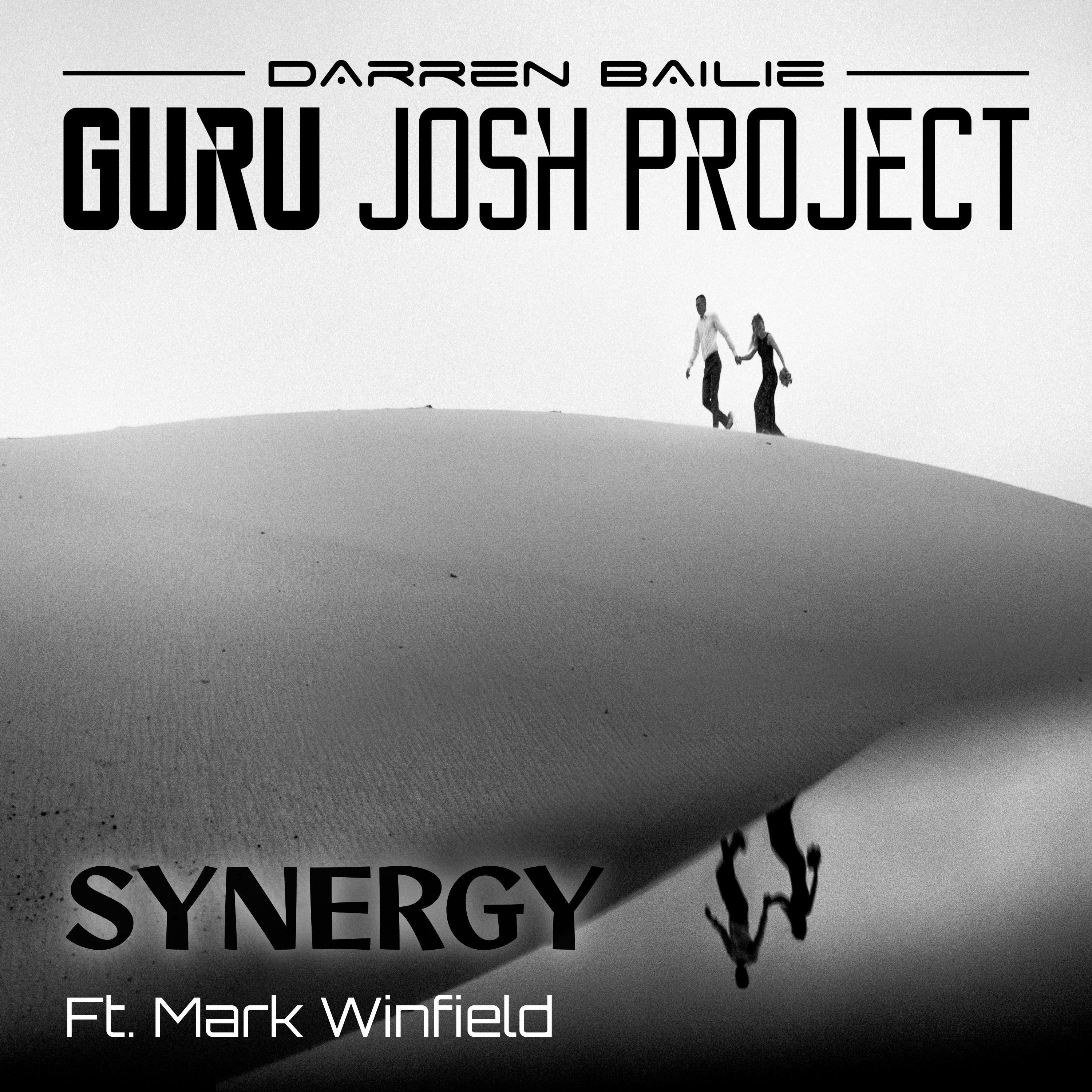 Synergy (feat. Mark Winfield) (Radio Edit) - Darren Bailie/Guru Josh ...
