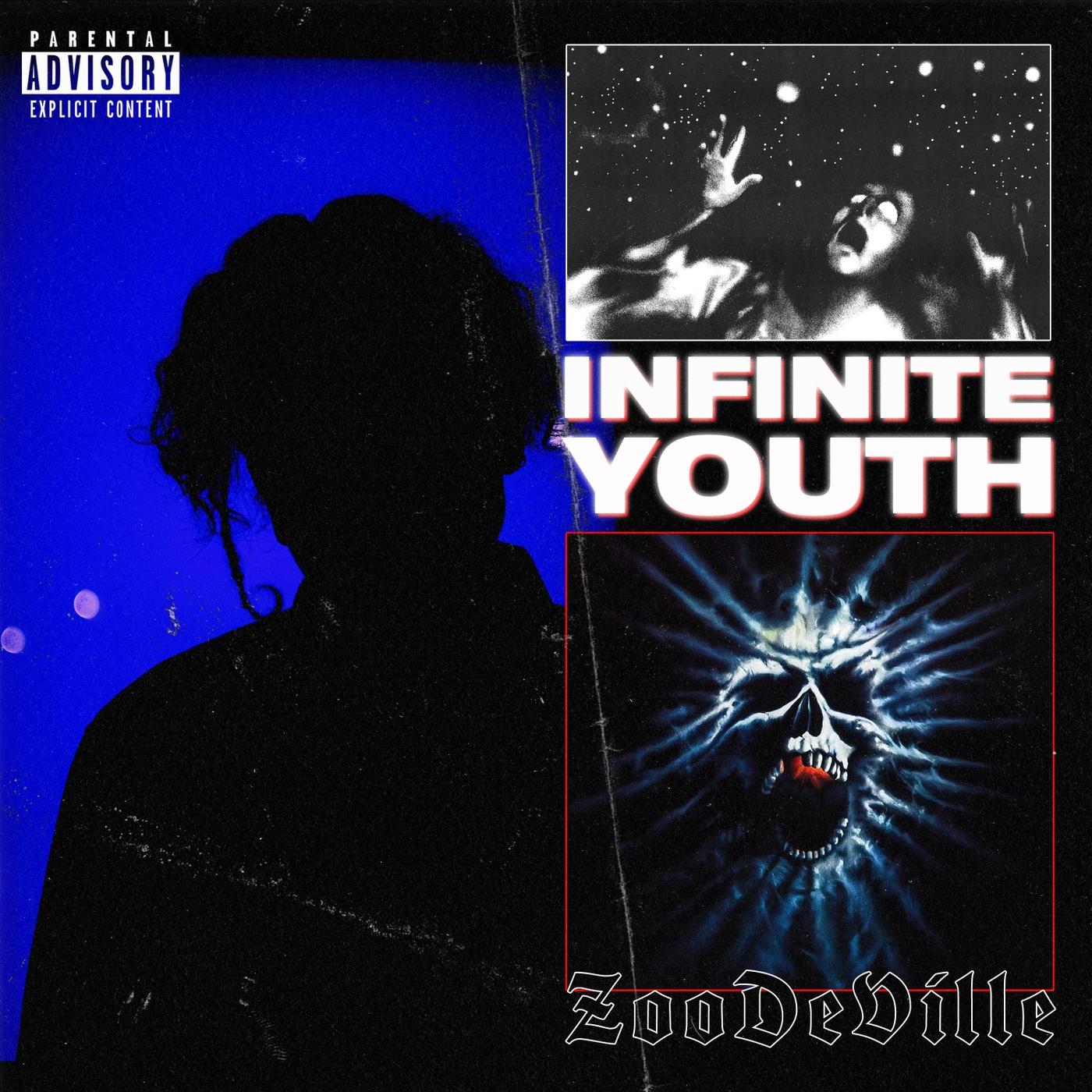 Something Small, Insignificant (feat. Bobby Bucher) - ZooDeVille/Bobby ...