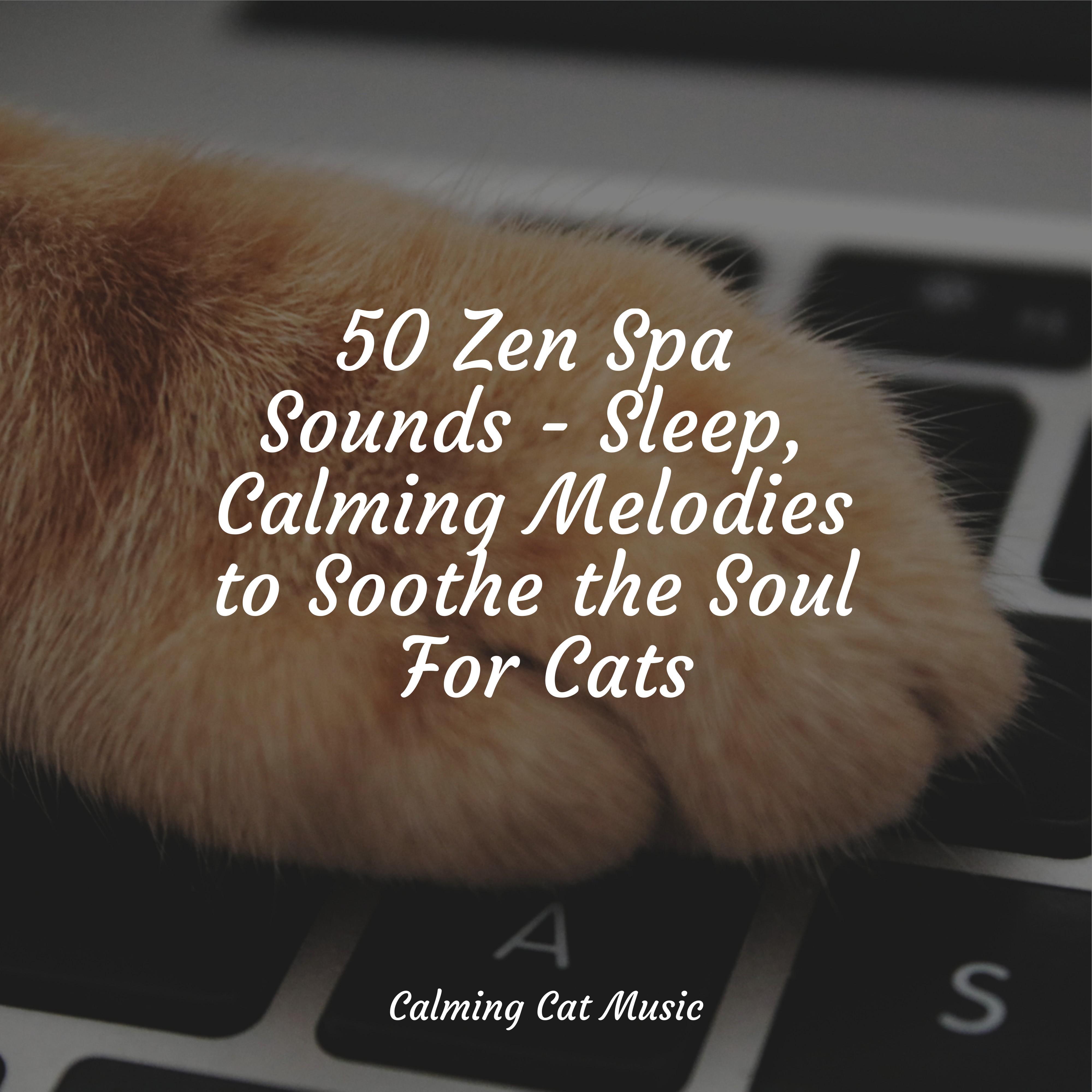 50 Zen Spa Sounds - Sleep, Calming Melodies to Soothe the Soul For Cats ...