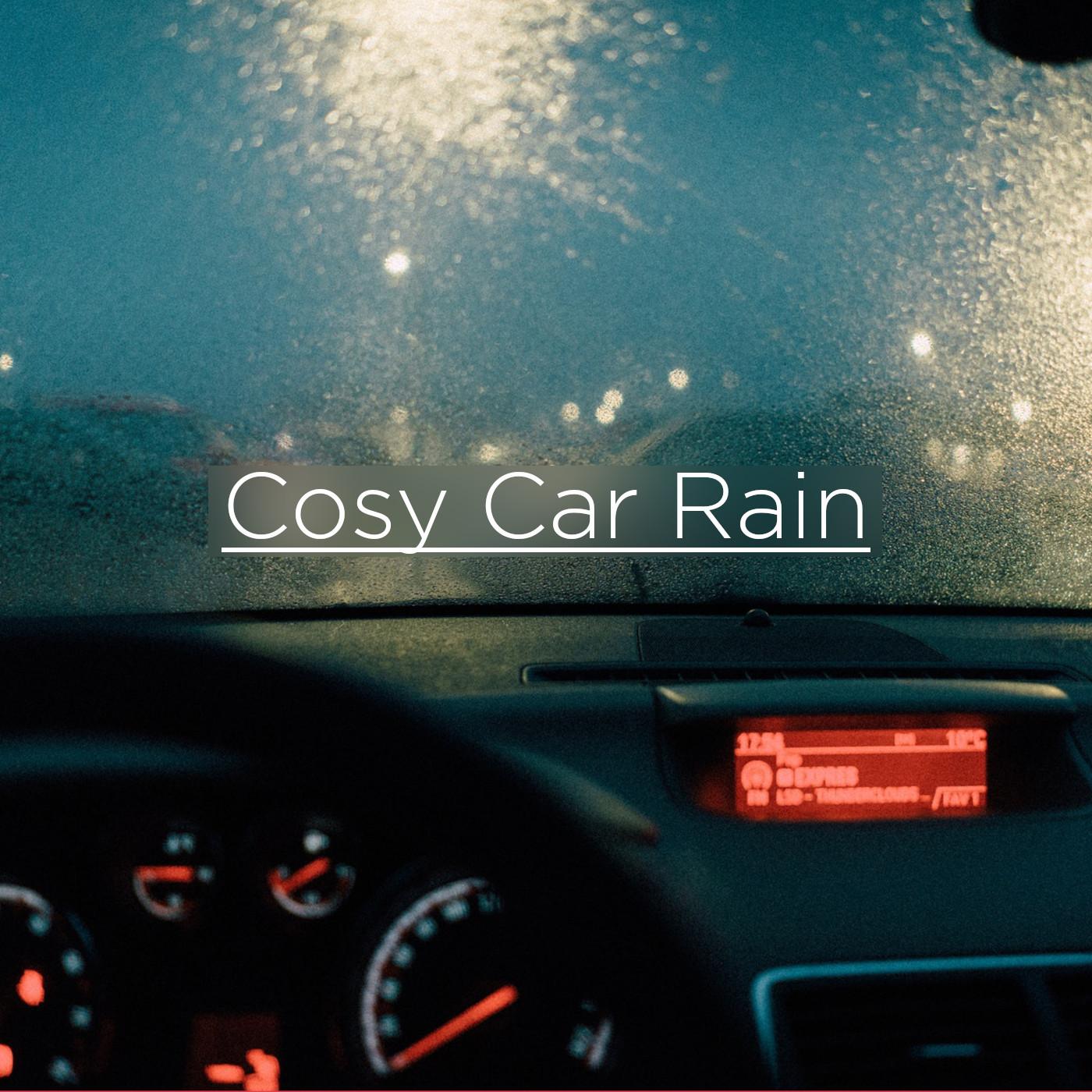Cozy Car Rain - Rain Sounds - 专辑 - 网易云音乐