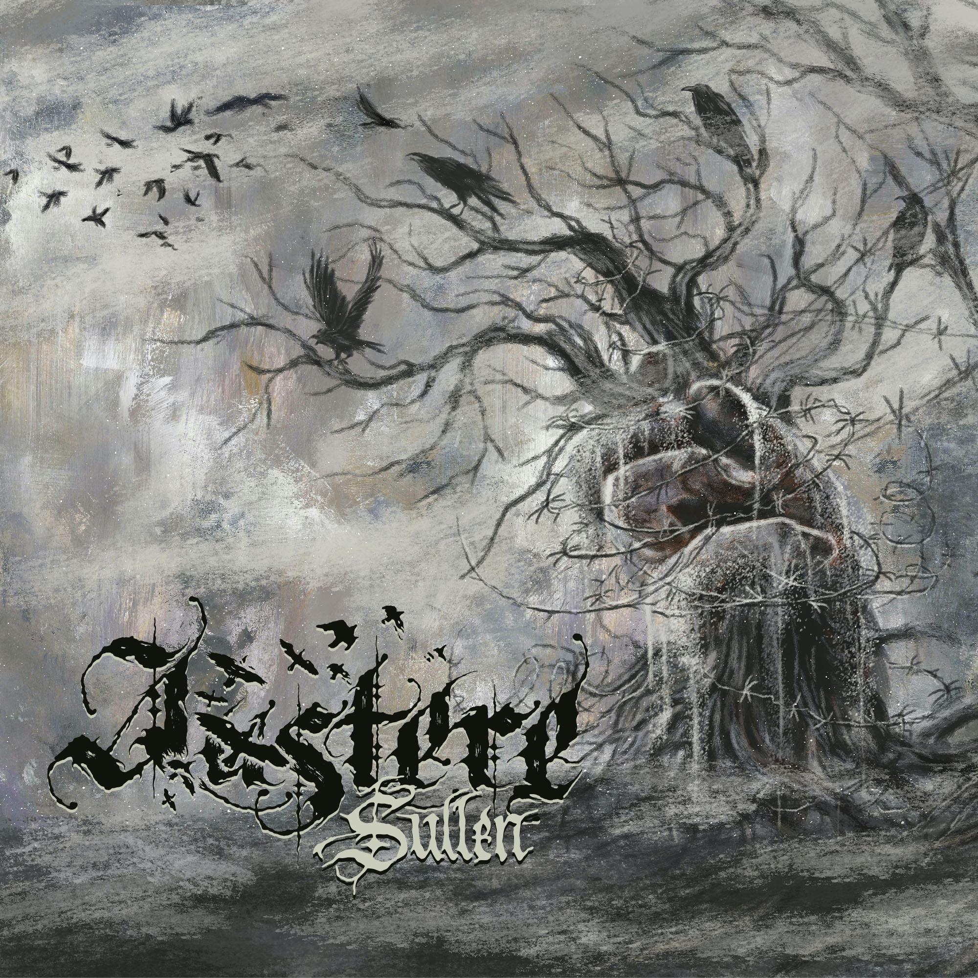 Sullen - Austere - 专辑 - 网易云音乐