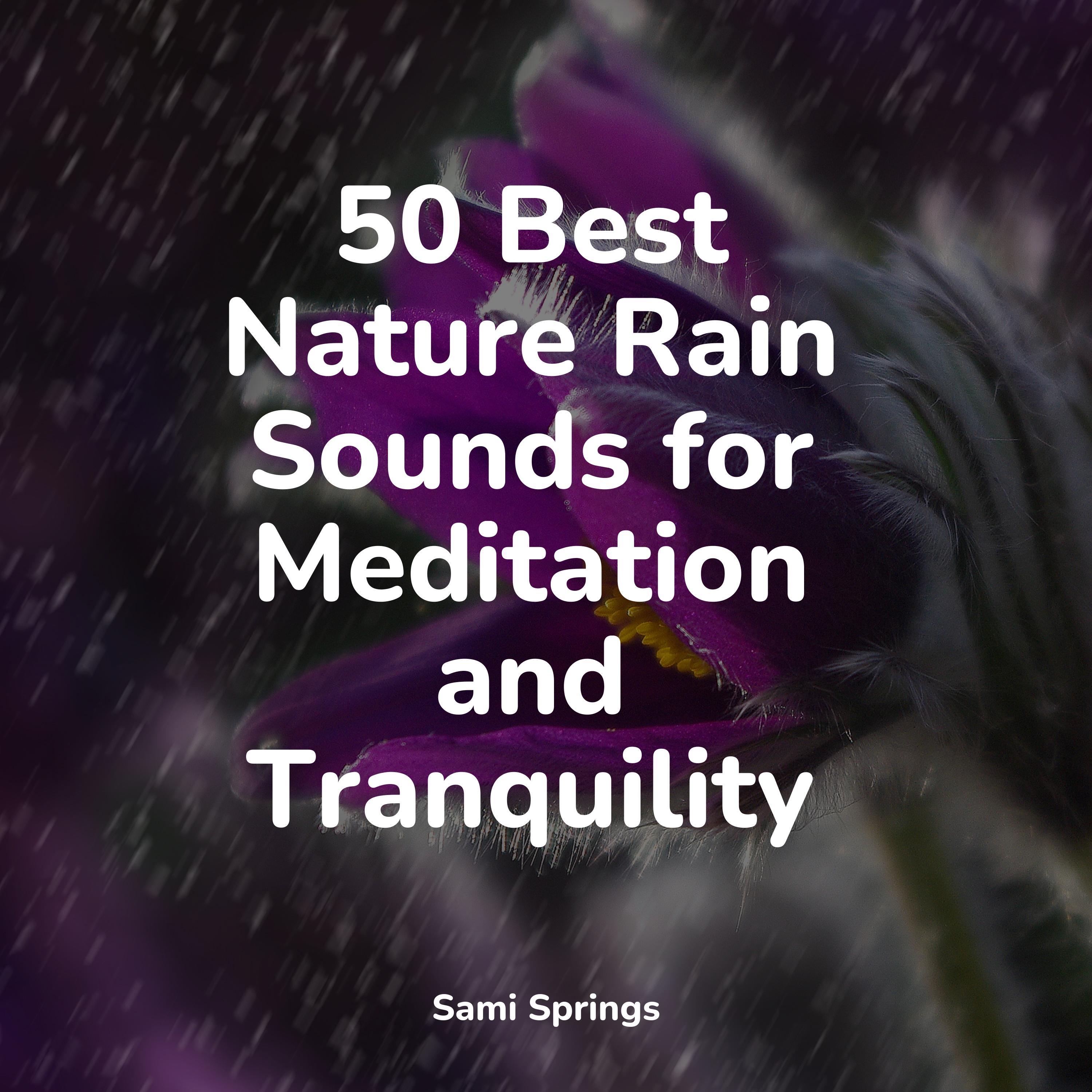 50 Best Nature Rain Sounds for Meditation and Tranquility - Rain for ...