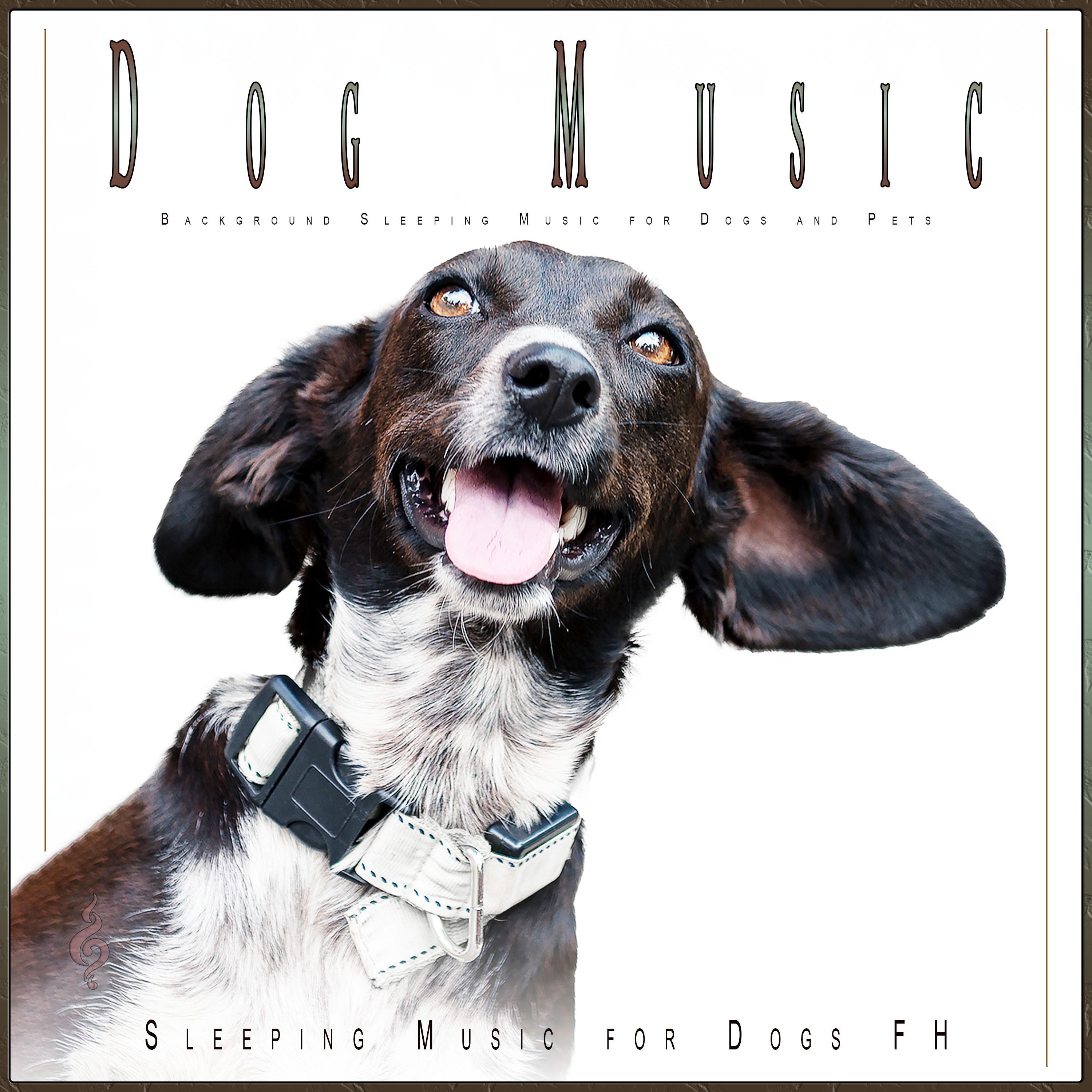Dog Music: Background Sleeping Music for Dogs and Pets - Sleeping Music ...