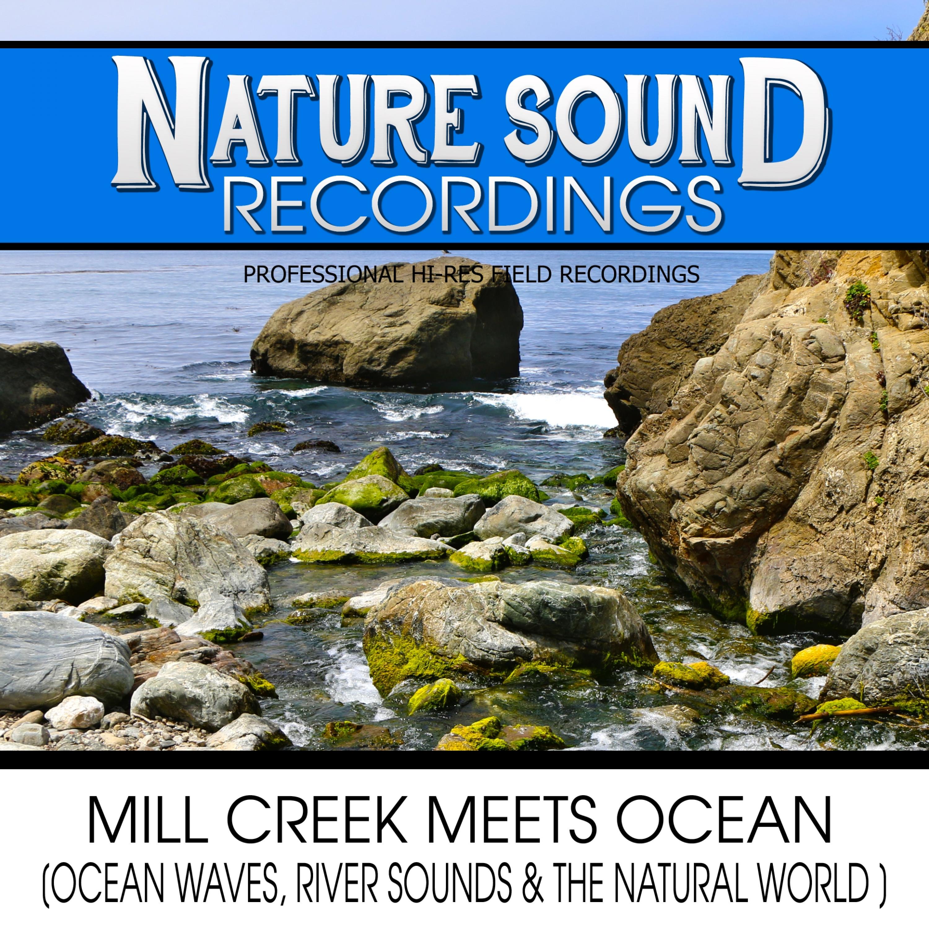 Majestic Mountain Brook - Nature Sound Recordings - 单曲 - 网易云音乐