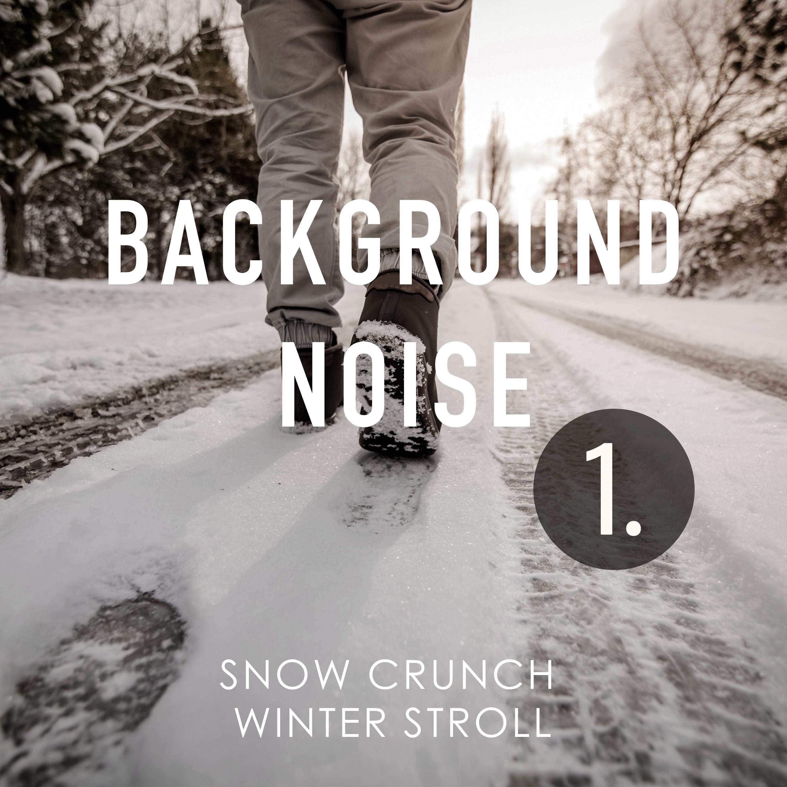 Snow Crunch Winter Stroll, Pt. 7 - Thomas O'Reilly - 单曲 - 网易云音乐
