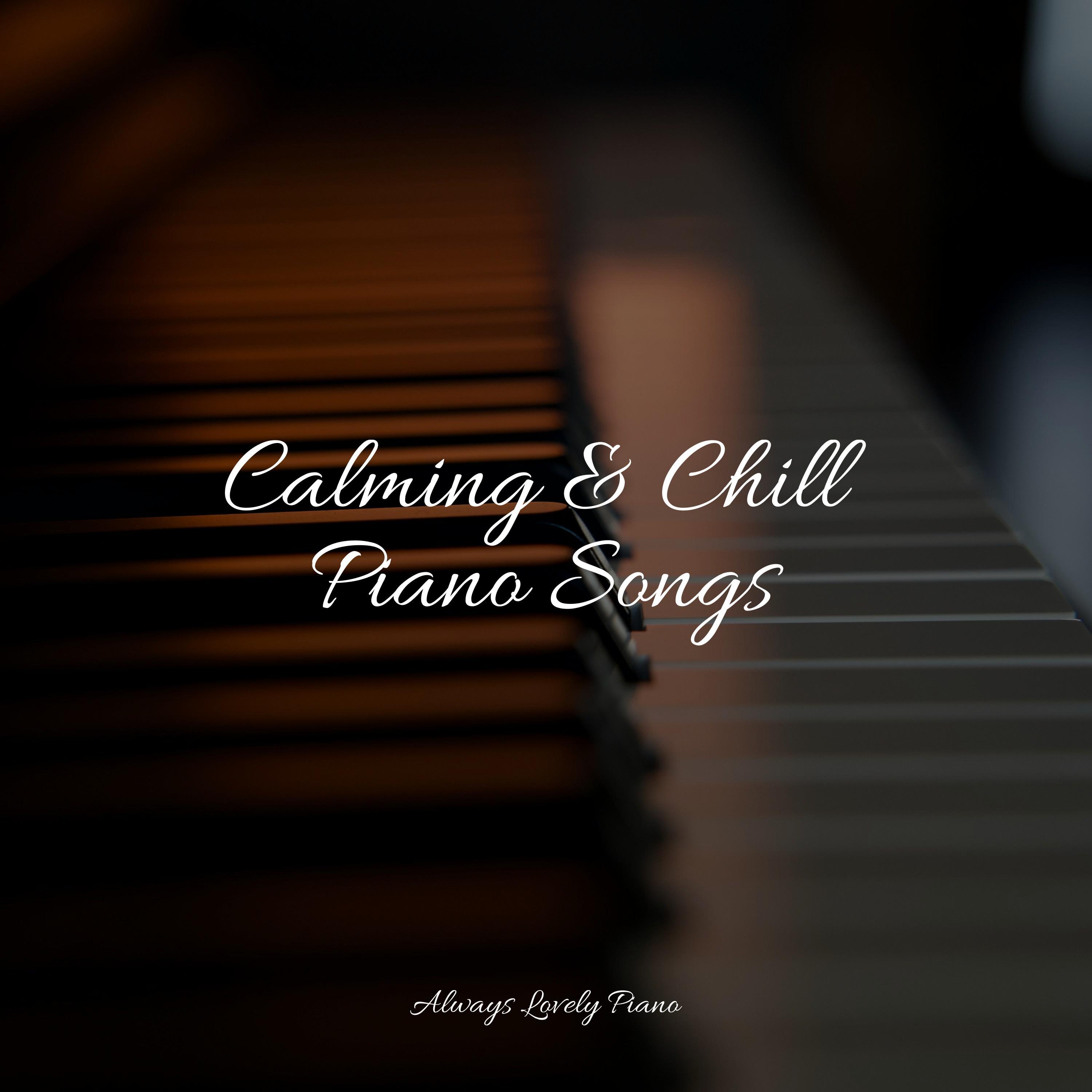 Calming & Chill Piano Songs - Piano Music for Exam Study - 专辑 - 网易云音乐
