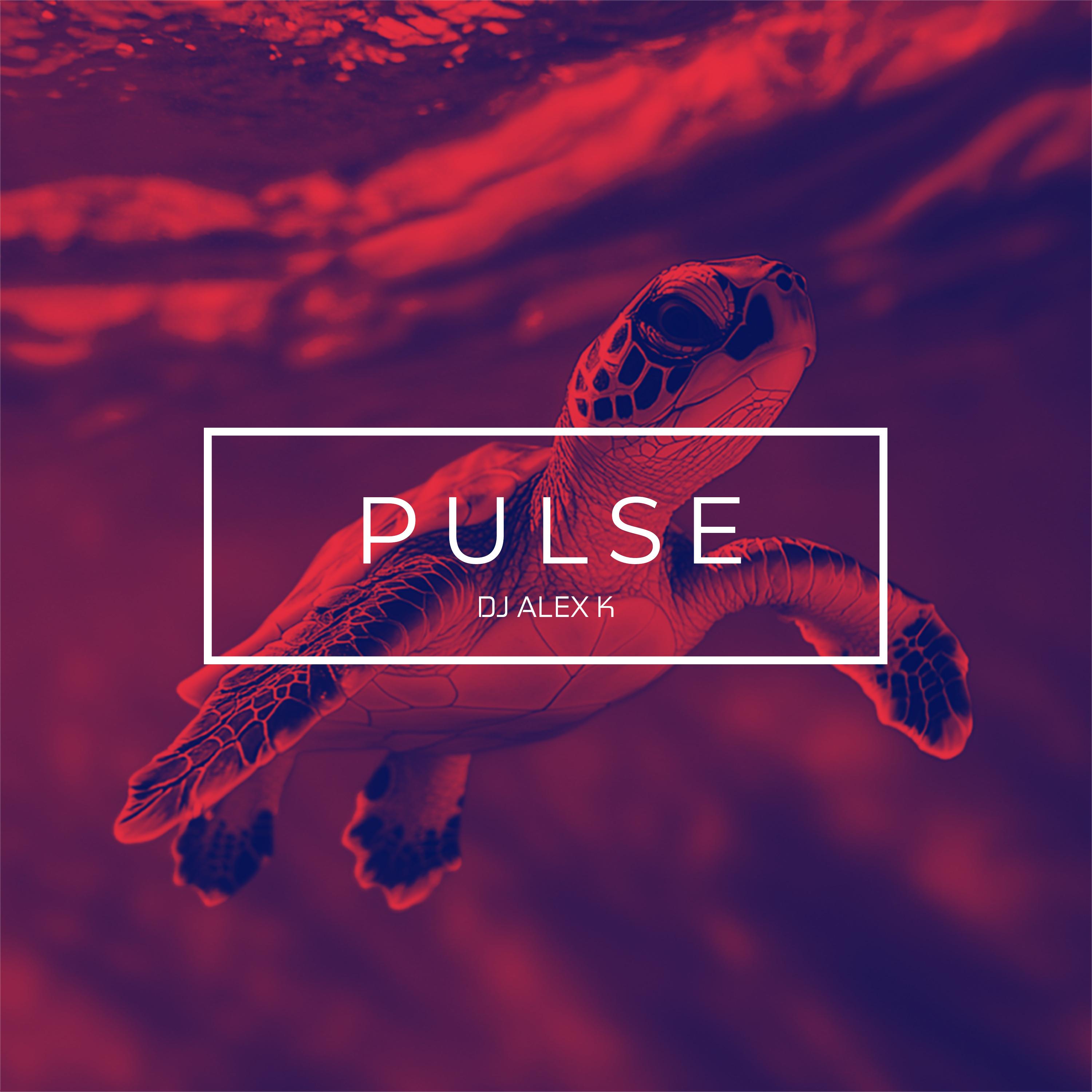 Pulse - Dj Alex K - 专辑 - 网易云音乐