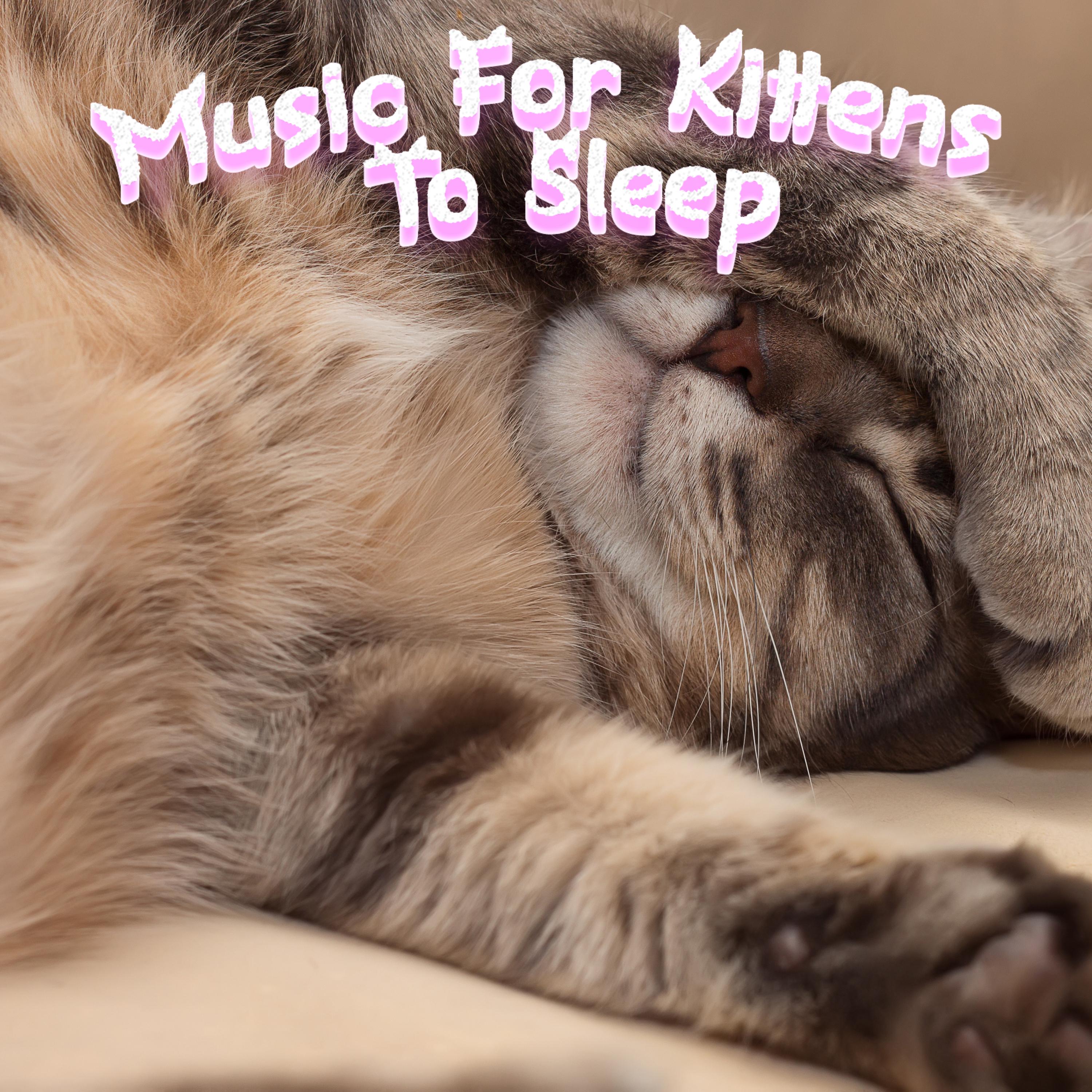 Kitten Music - Music For Kittens To Sleep/Anxiety & Stress Relief Music ...