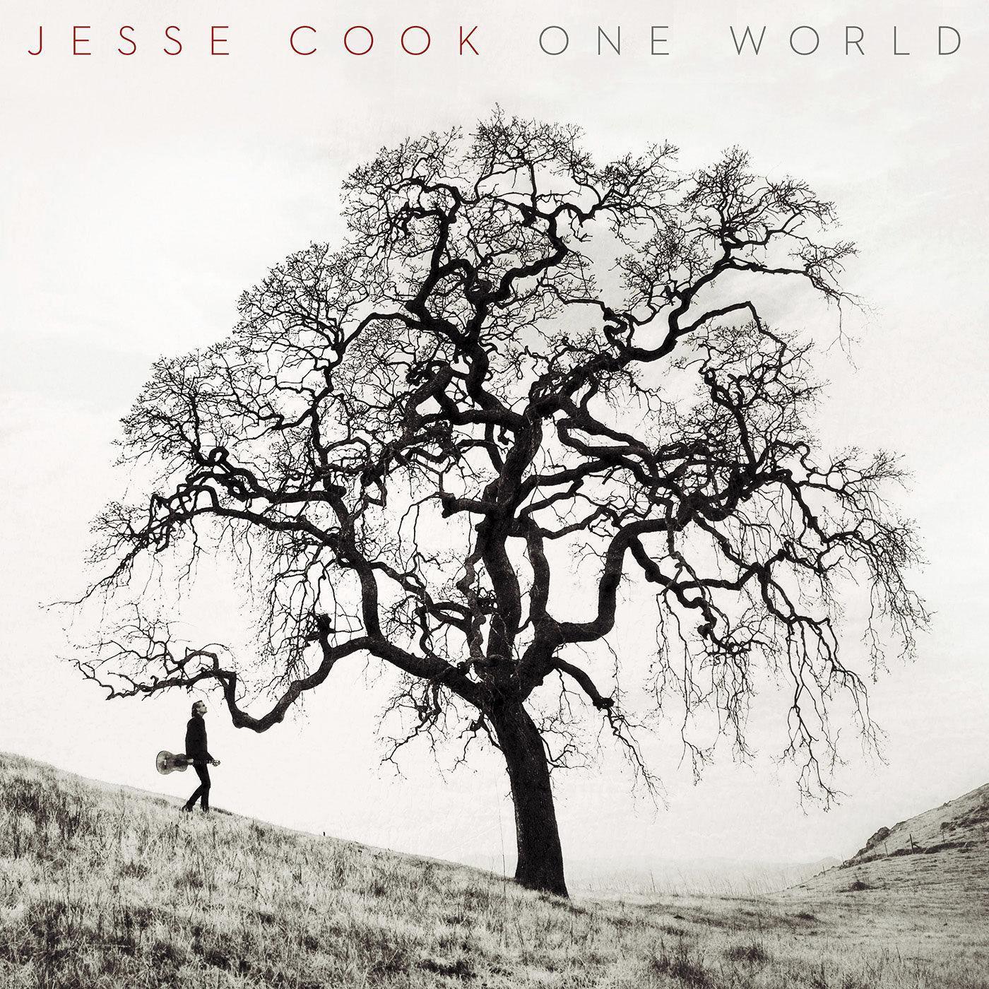 Shake - Jesse Cook - 单曲 - 网易云音乐