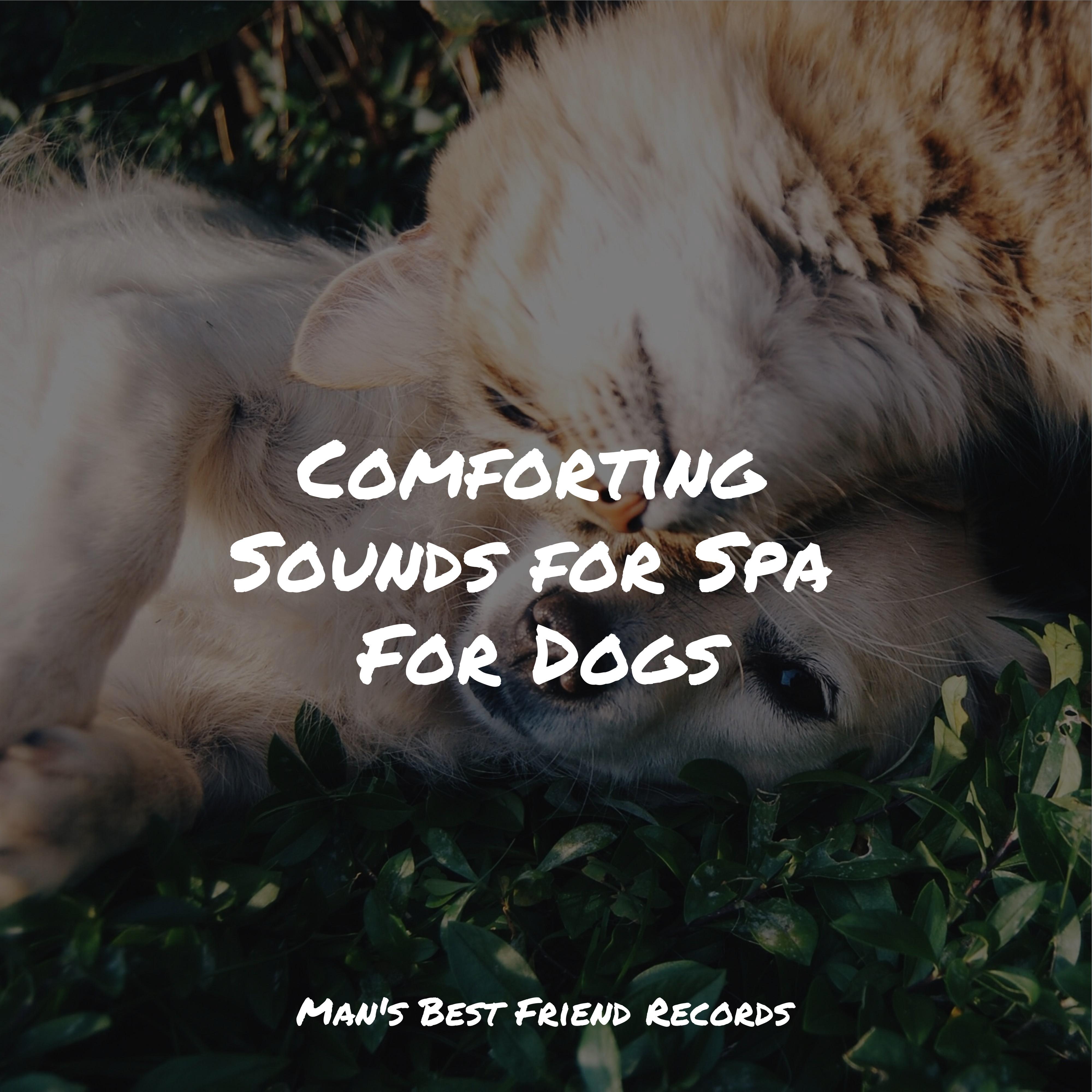 Spa Time - Music for Pets Library/Music for Leaving Dogs Home Alone ...
