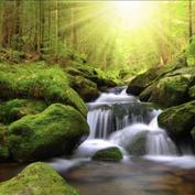 FGHJKL; - 令凯 - 专辑 - 网易云音乐