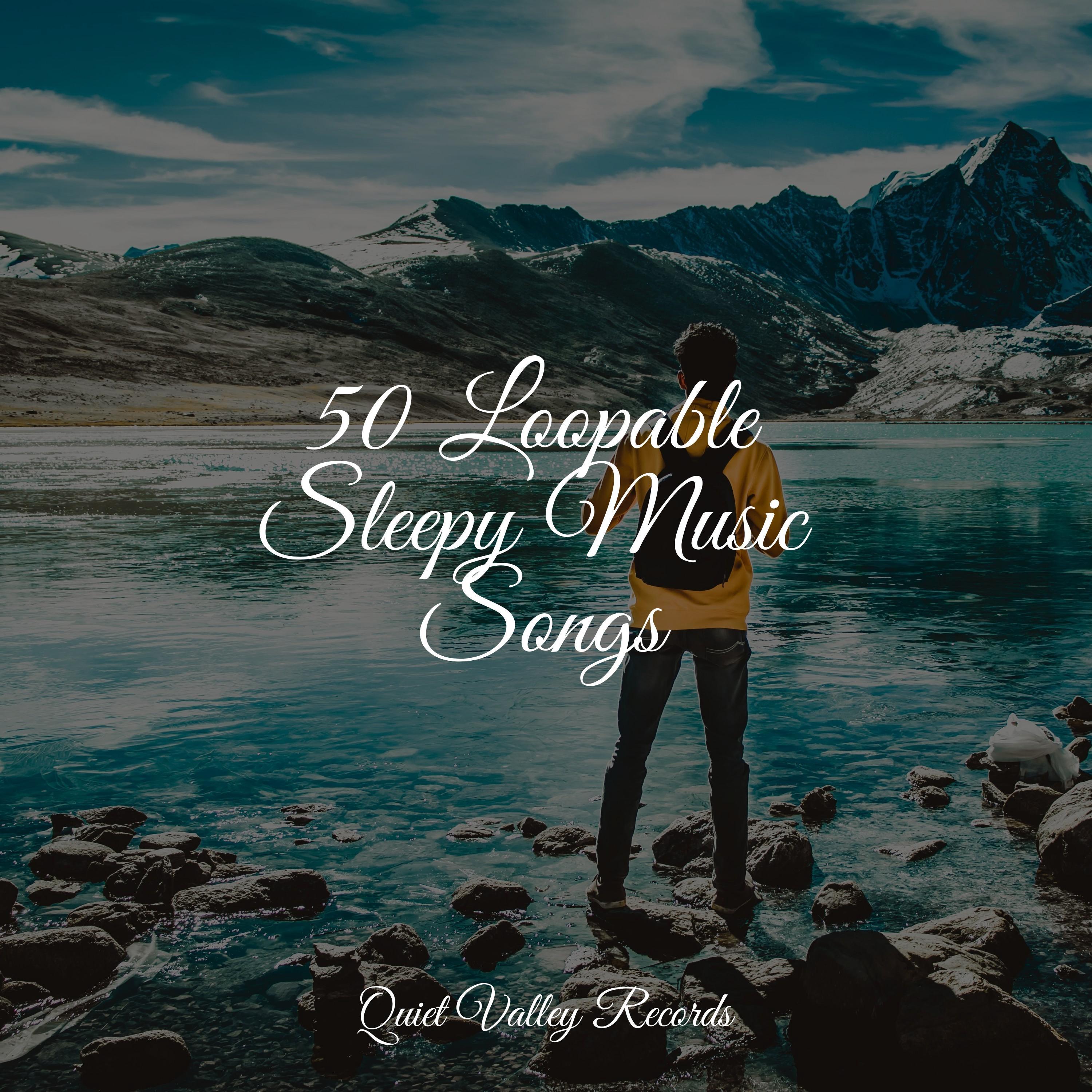 50 Loopable Sleepy Music Songs - The Rain Library - 专辑 - 网易云音乐
