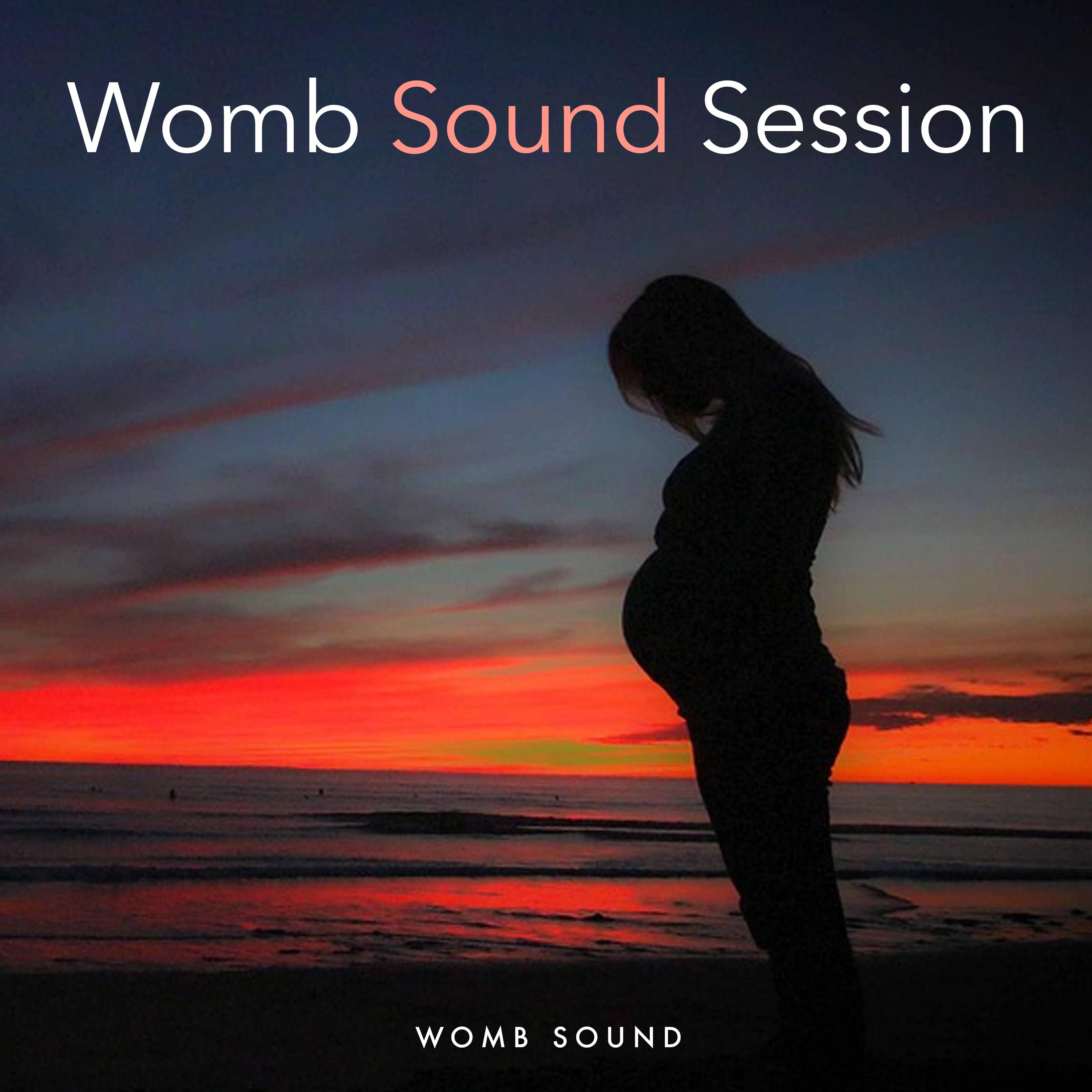 Sub Rumbling - Womb Sound - 单曲 - 网易云音乐