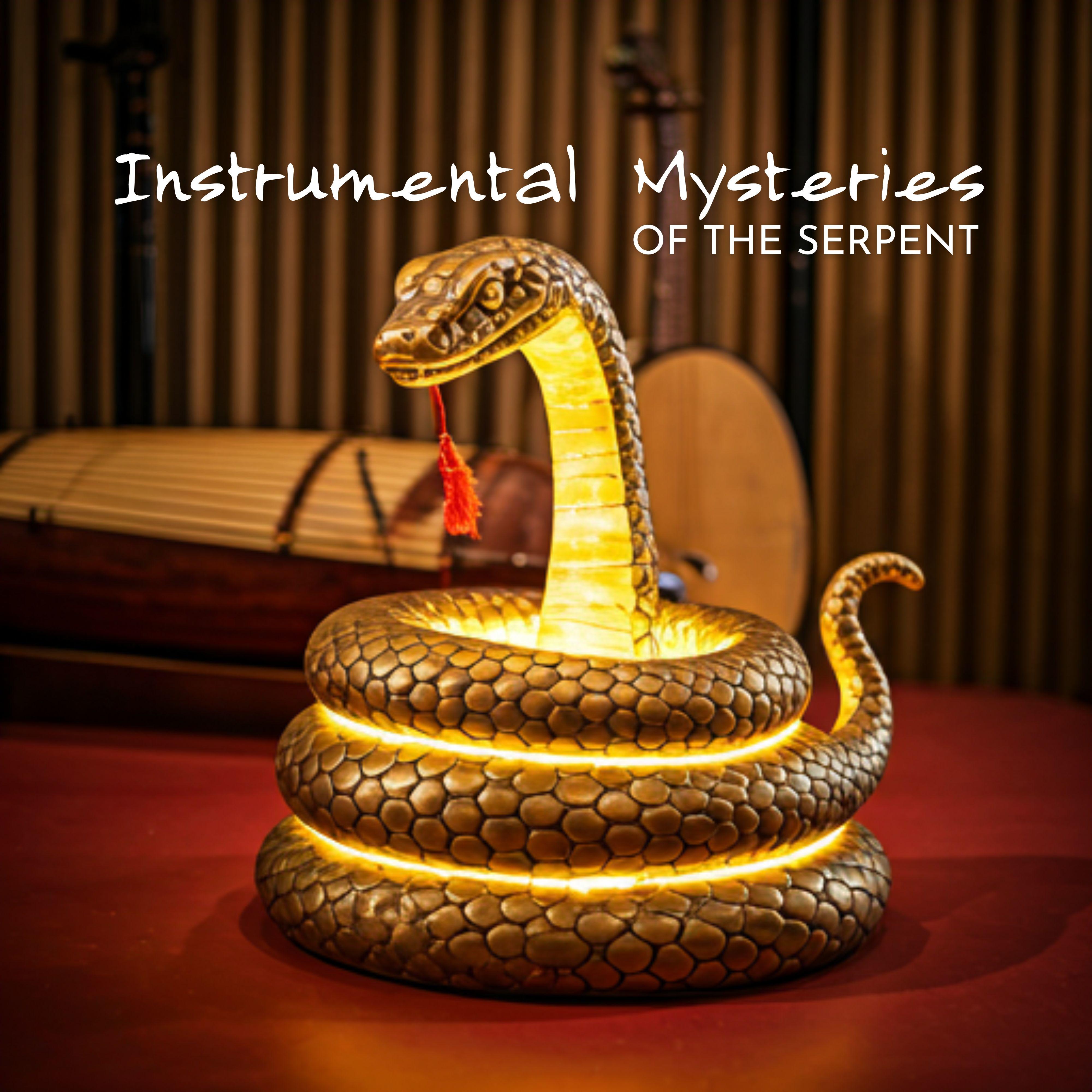 Year of the Snake Flow - Guo Yang Peng - 单曲 - 网易云音乐