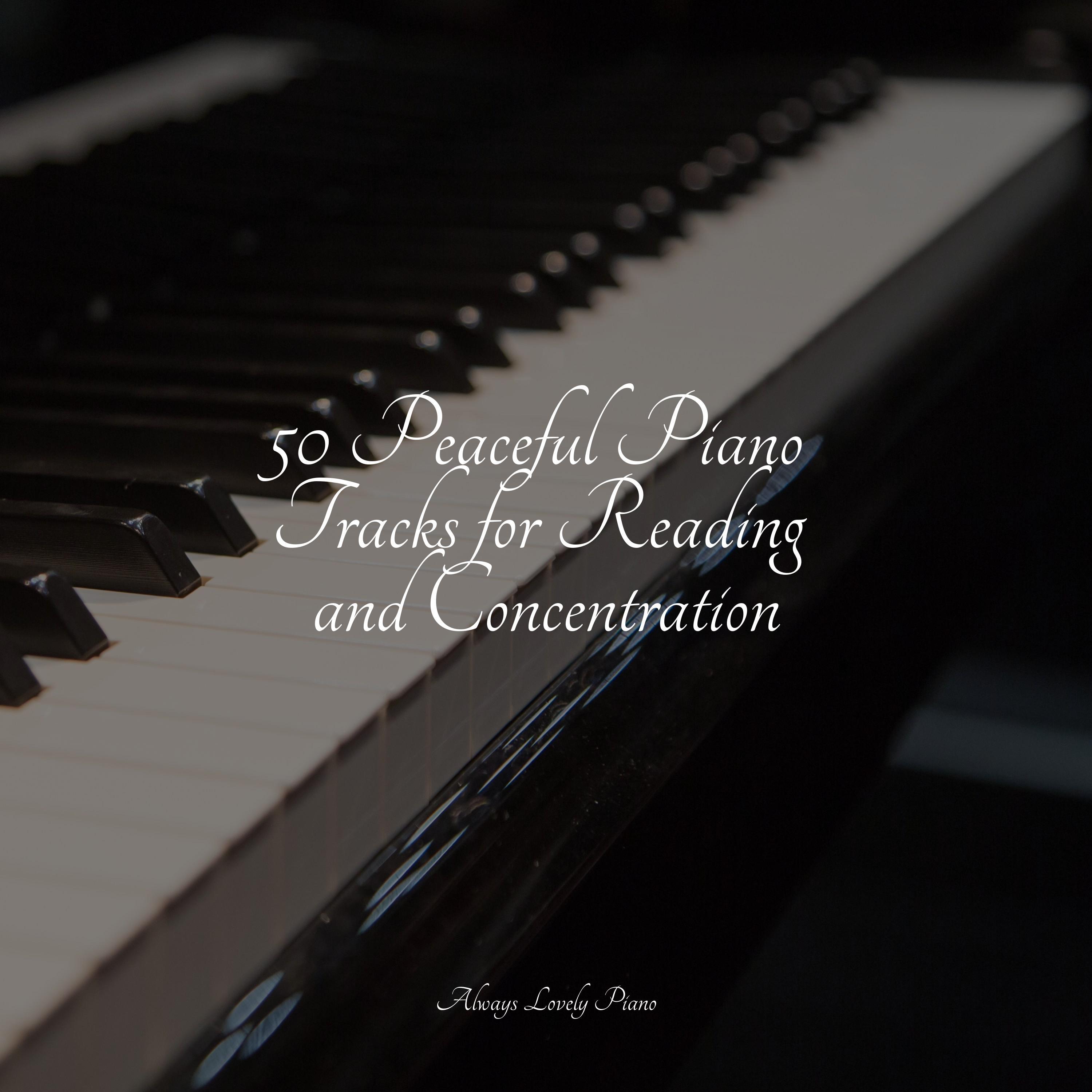 Moonlit Beach Walks - Yoga Piano Music/Soulful Piano Group/Piano ...