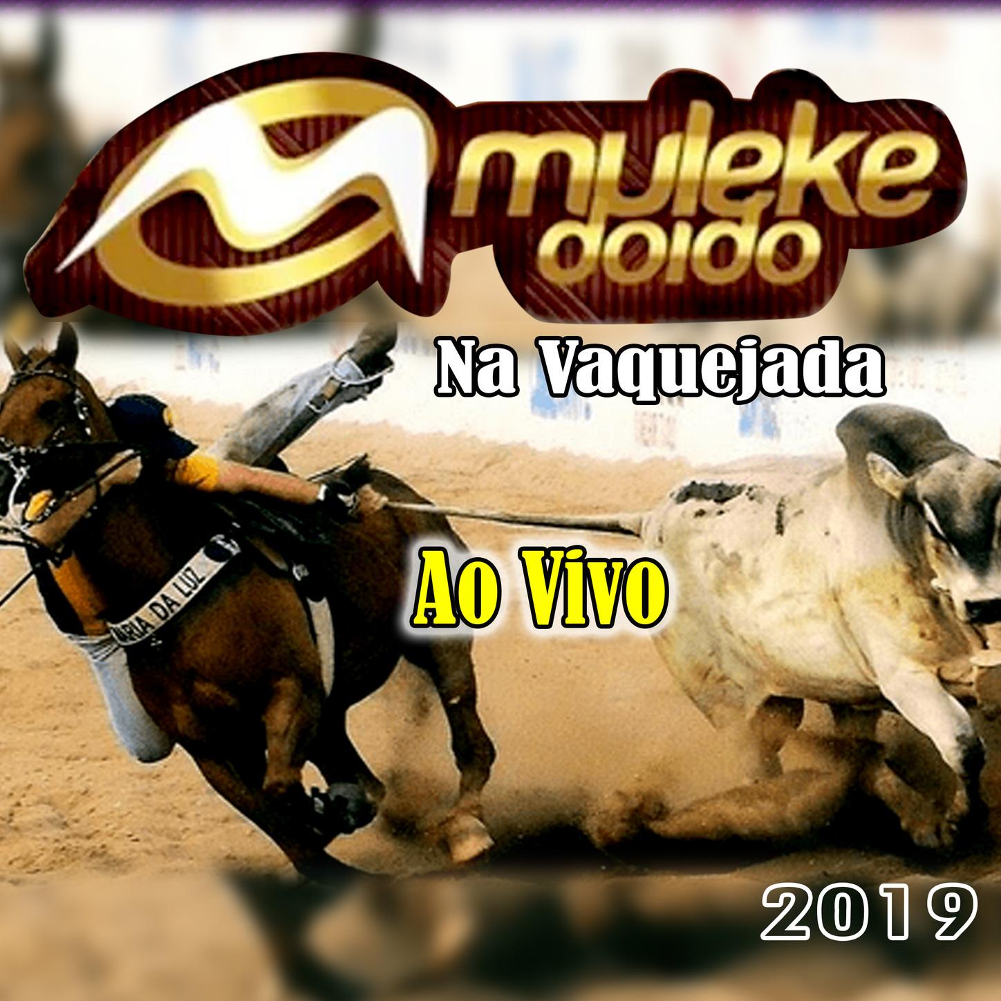 Saudade do meu bem - Ao Vivo - Muleke Doido - 单曲 - 网易云音乐