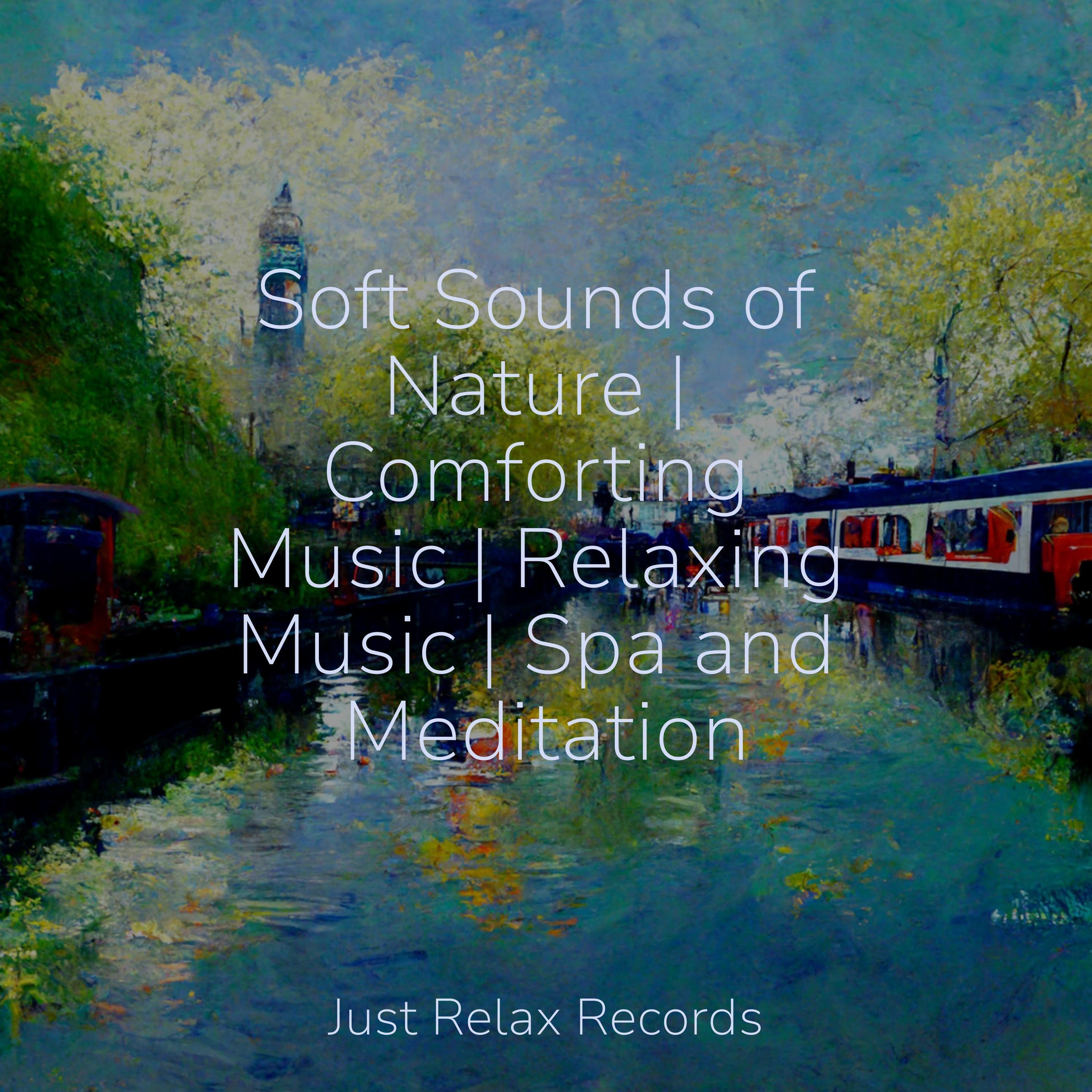 Ethereal Bond of Forever - Guided Meditation/Nature Sounds Nature Music ...