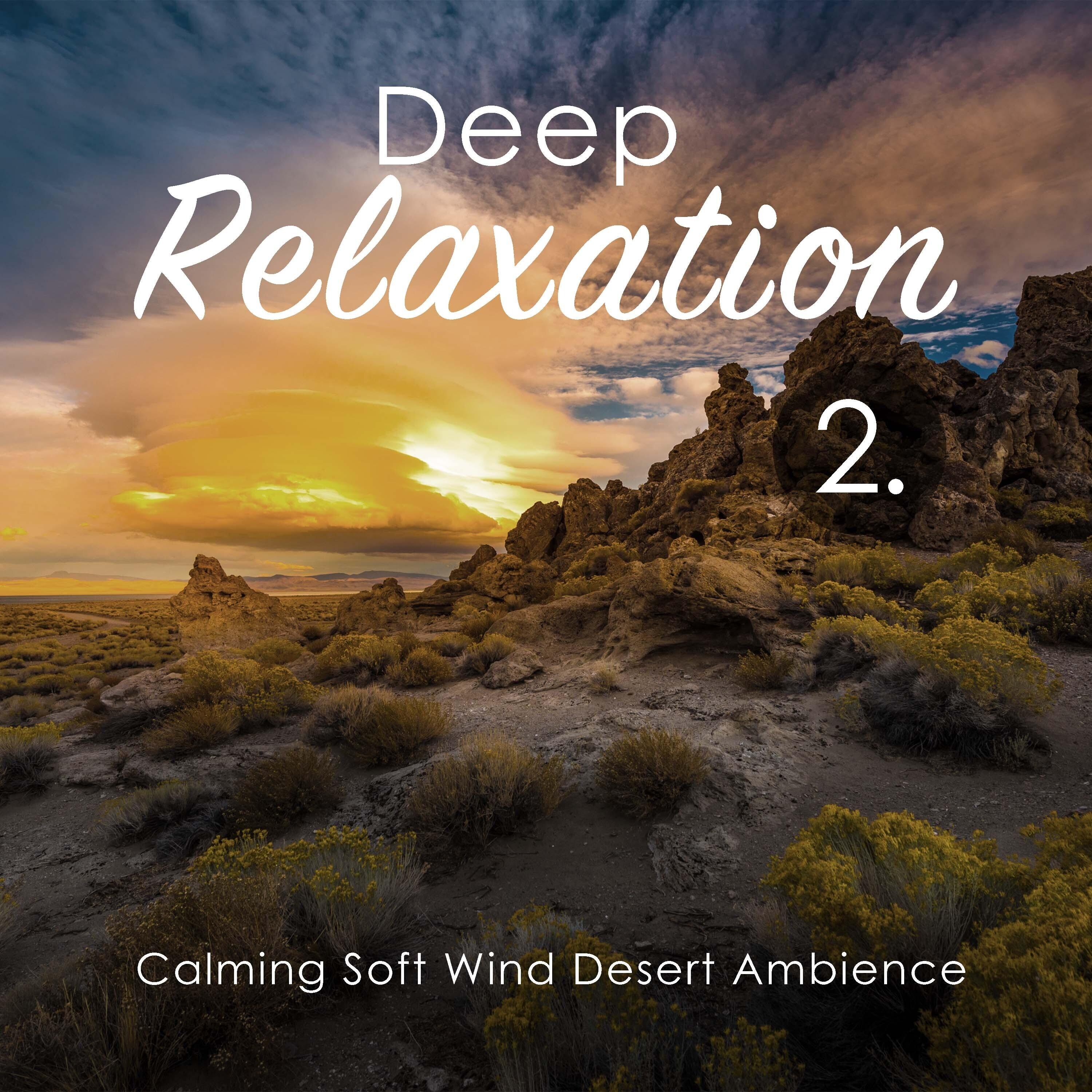 Calming Soft Wind Desert Ambience, Pt. 2 - Craig Hewitt - 单曲 - 网易云音乐