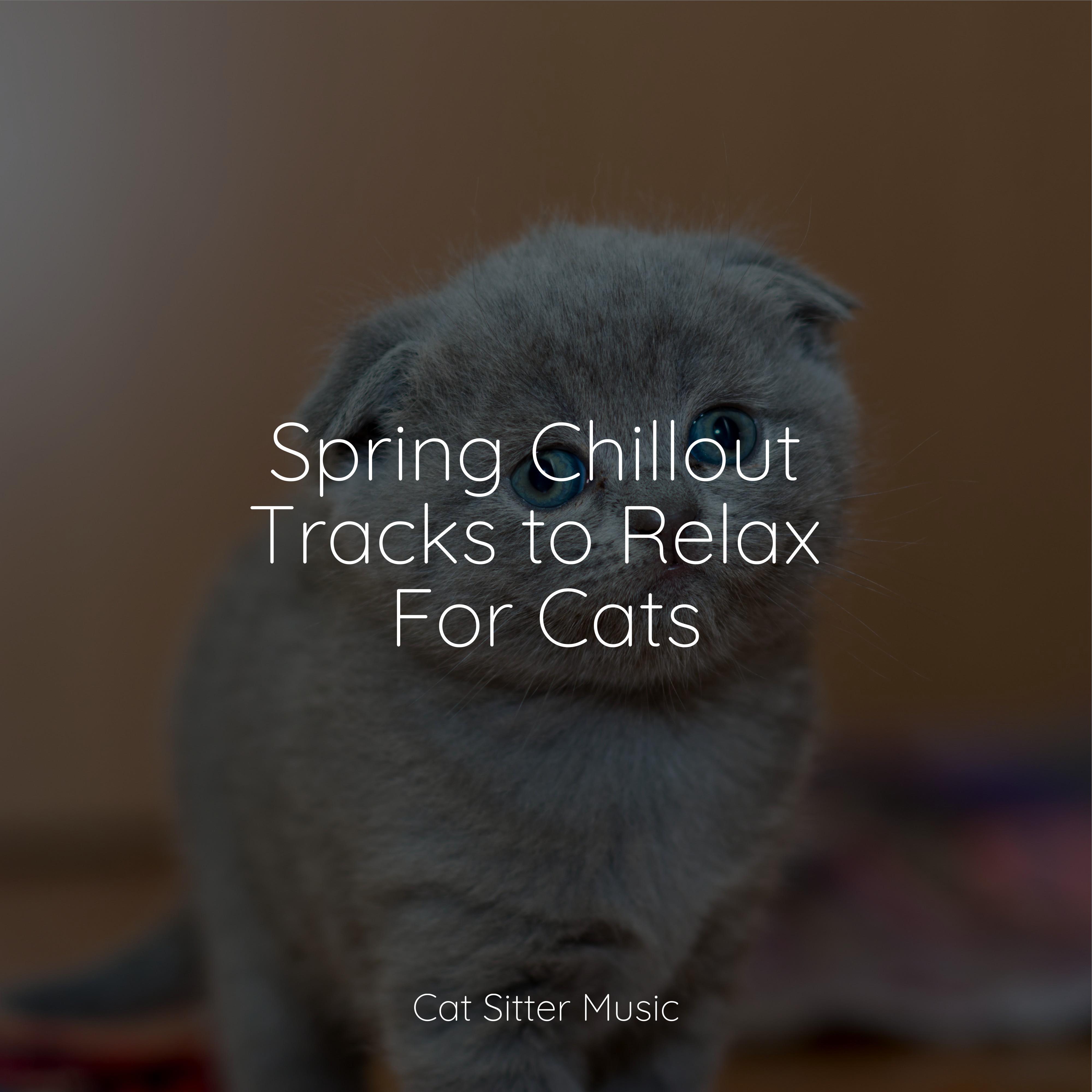Ocean Air - Music for Relaxing Cats/Calm Music for Cats/Cat Music ...