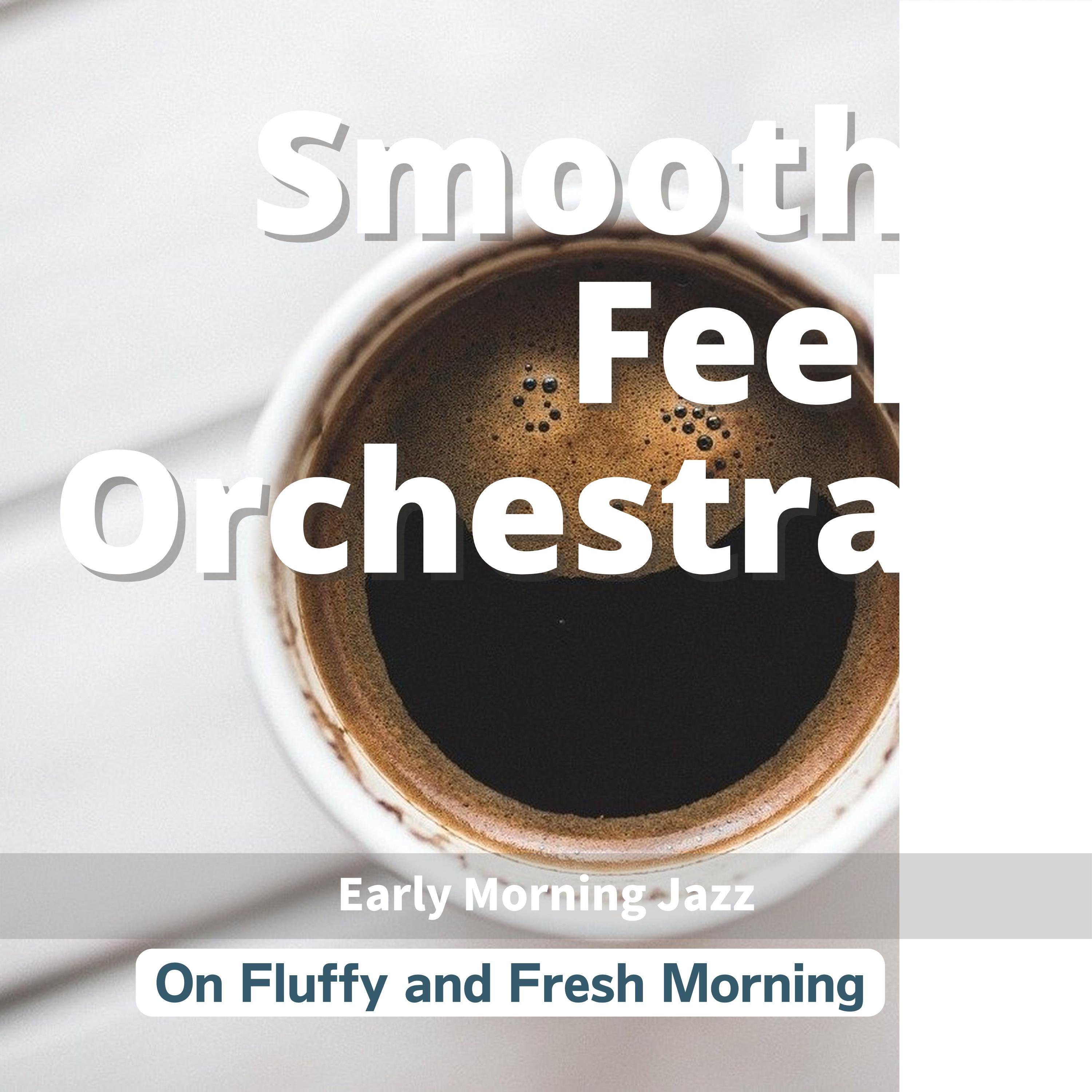 Open to the Day - Smooth Feel Orchestra - 单曲 - 网易云音乐