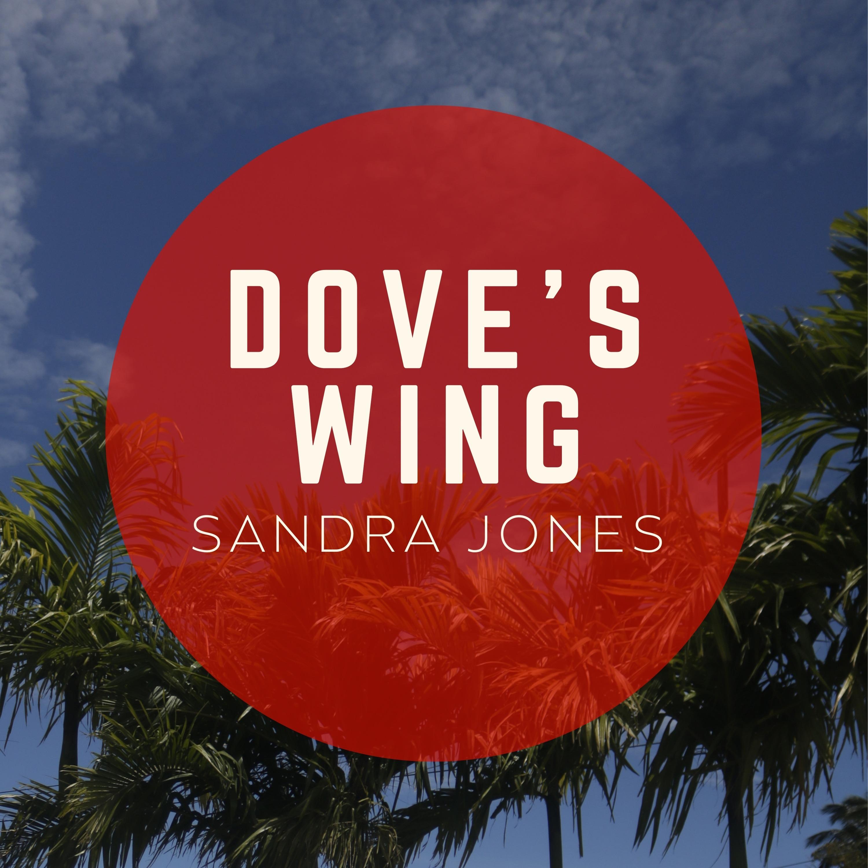 Dove’s Wing - SANDRA JONES - 专辑 - 网易云音乐