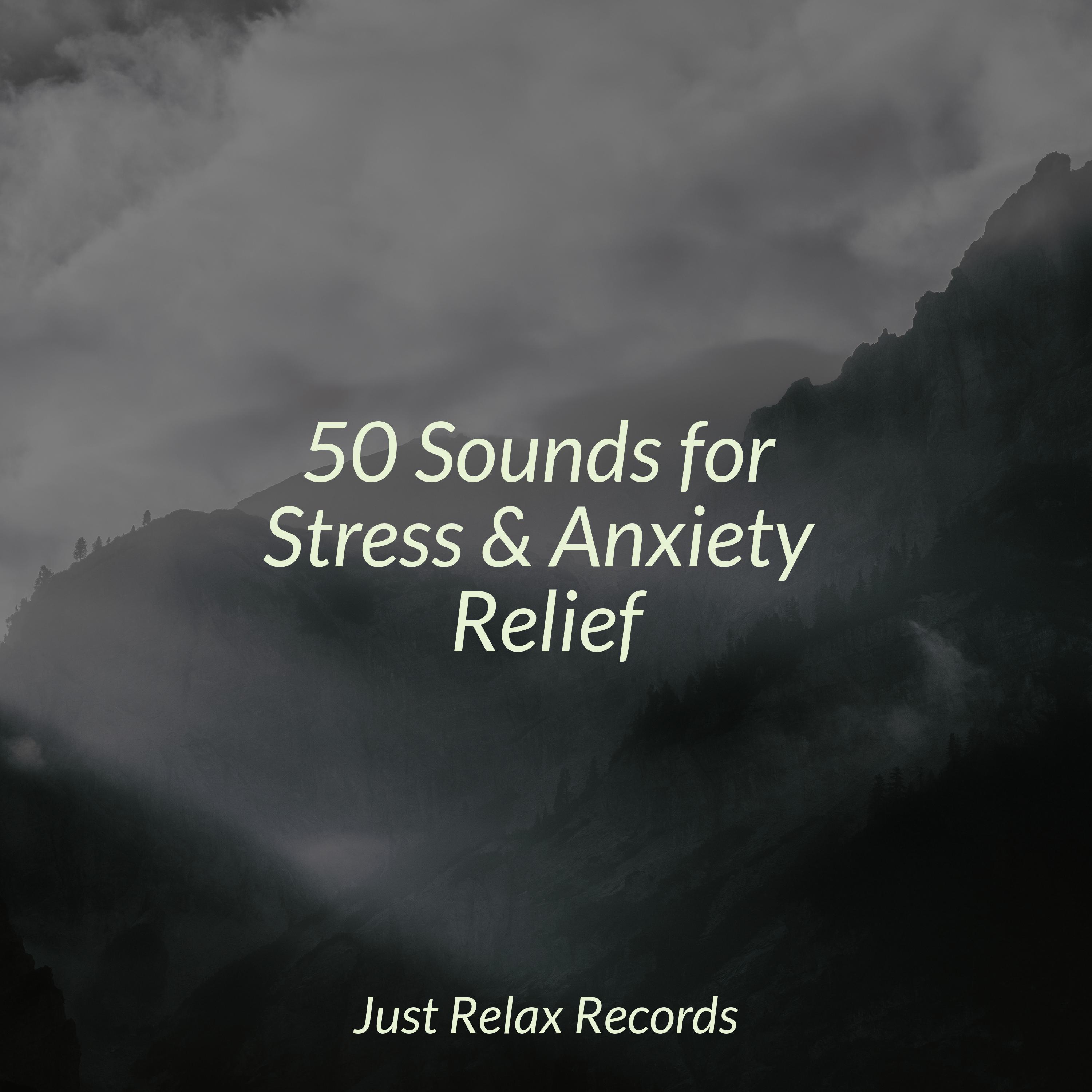 50 Sounds for Stress & Anxiety Relief - Sonido Del Bosque y Naturaleza ...
