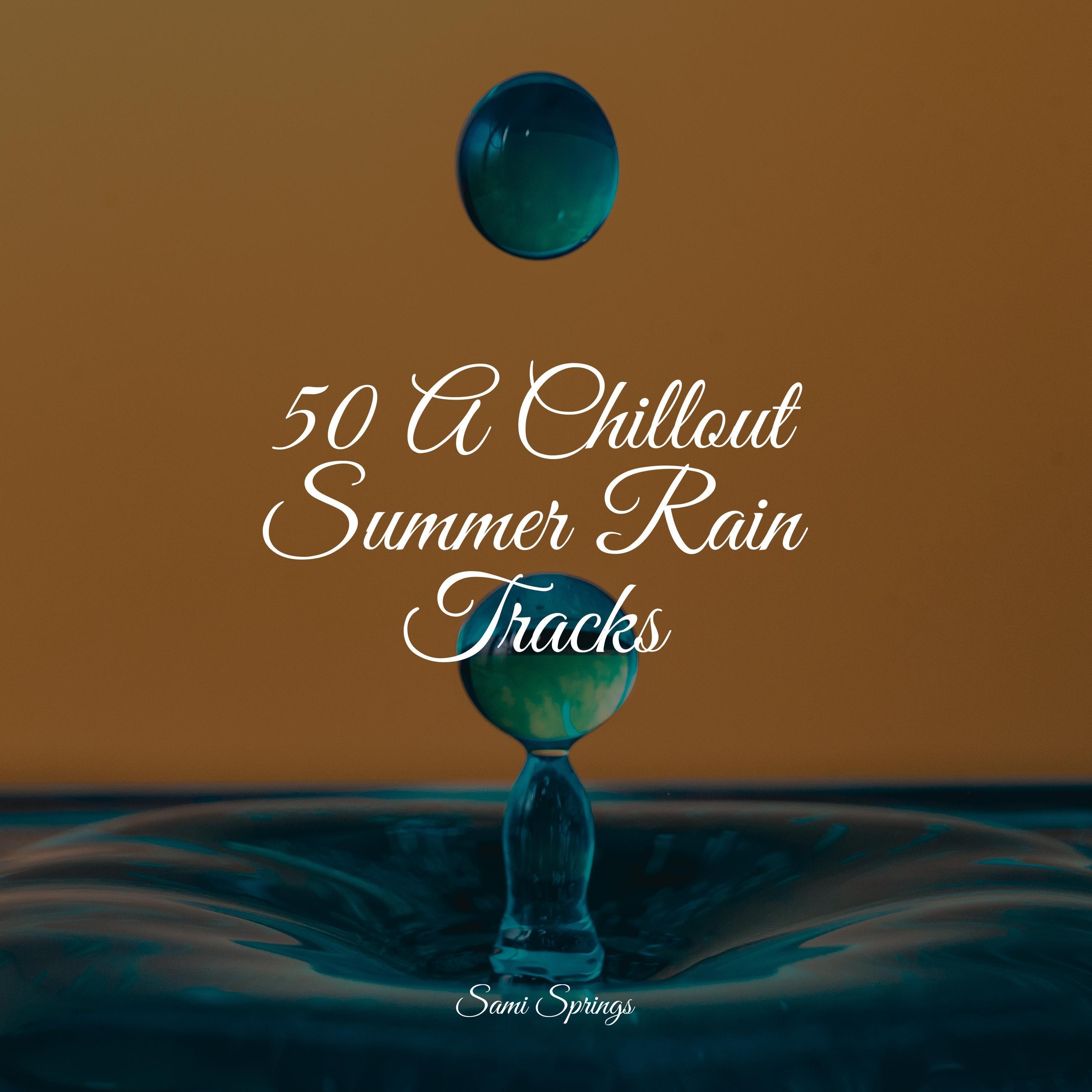 Forest, Morning, Birds, Bugs - Relaxation Sleep Meditation/Rain Drops ...