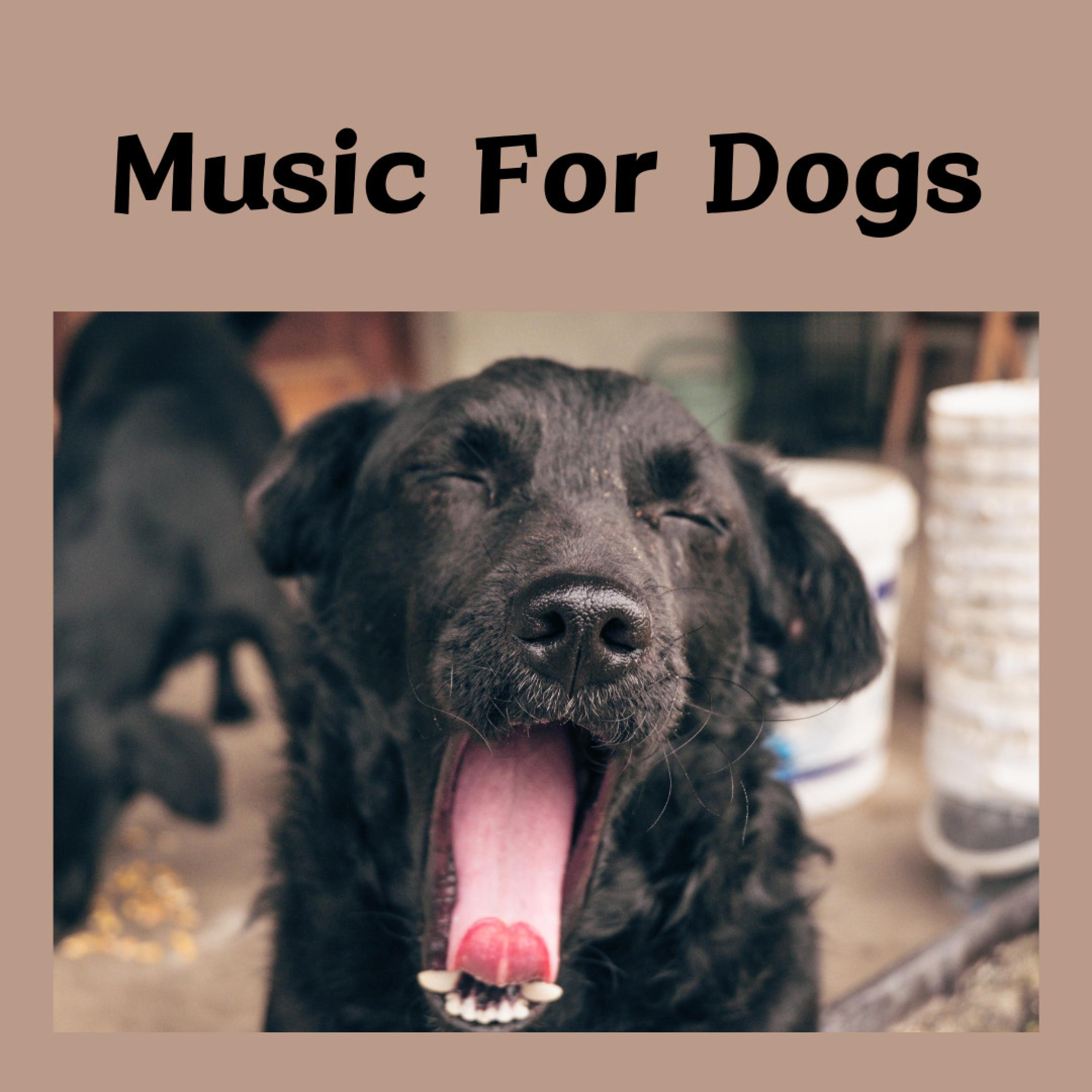 Go Lay Down - Music For Dogs/Music For Dogs Peace/Relaxing Puppy Music ...