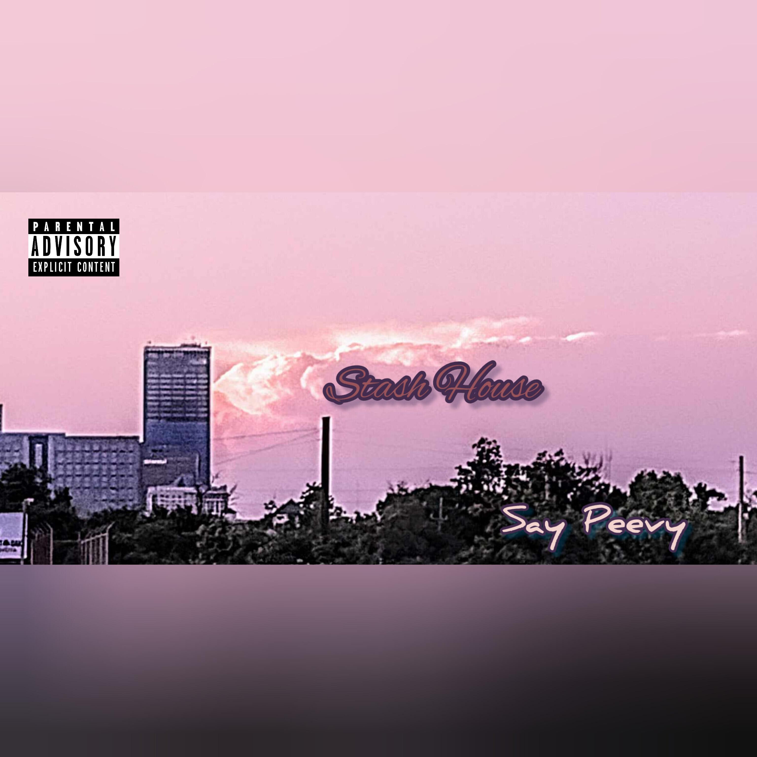 Stash House - Say Peevy - 专辑 - 网易云音乐
