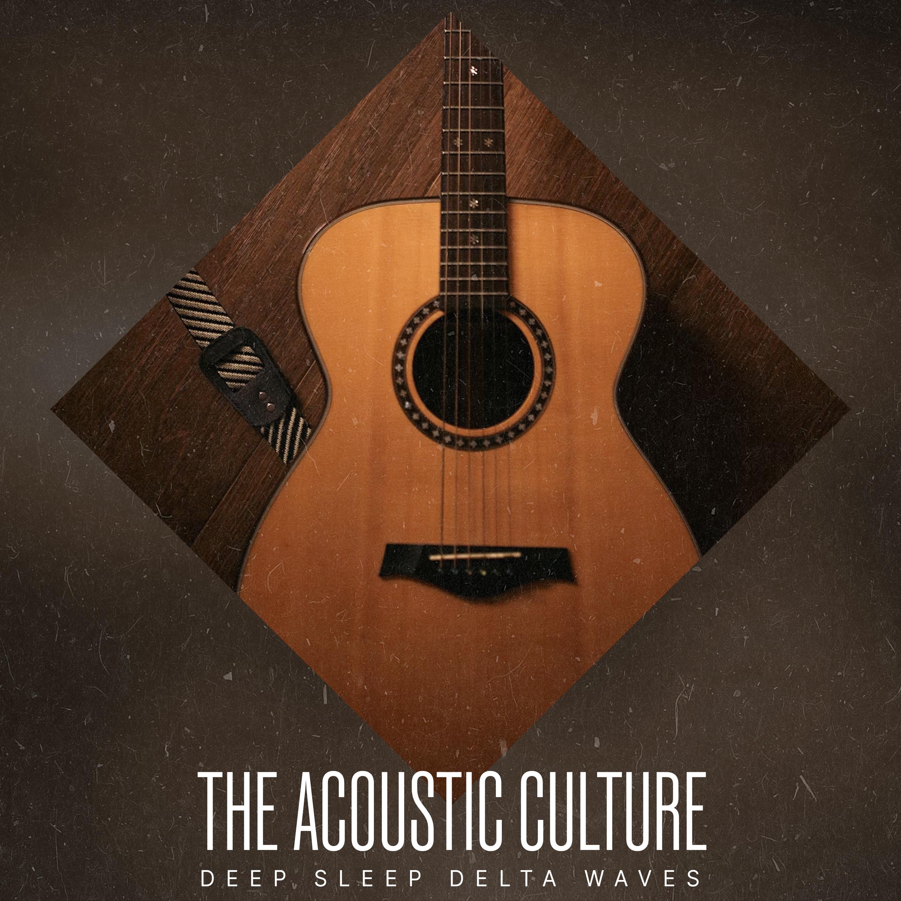 The Acoustic Culture - Acoustic Covers Culture - 专辑 - 网易云音乐