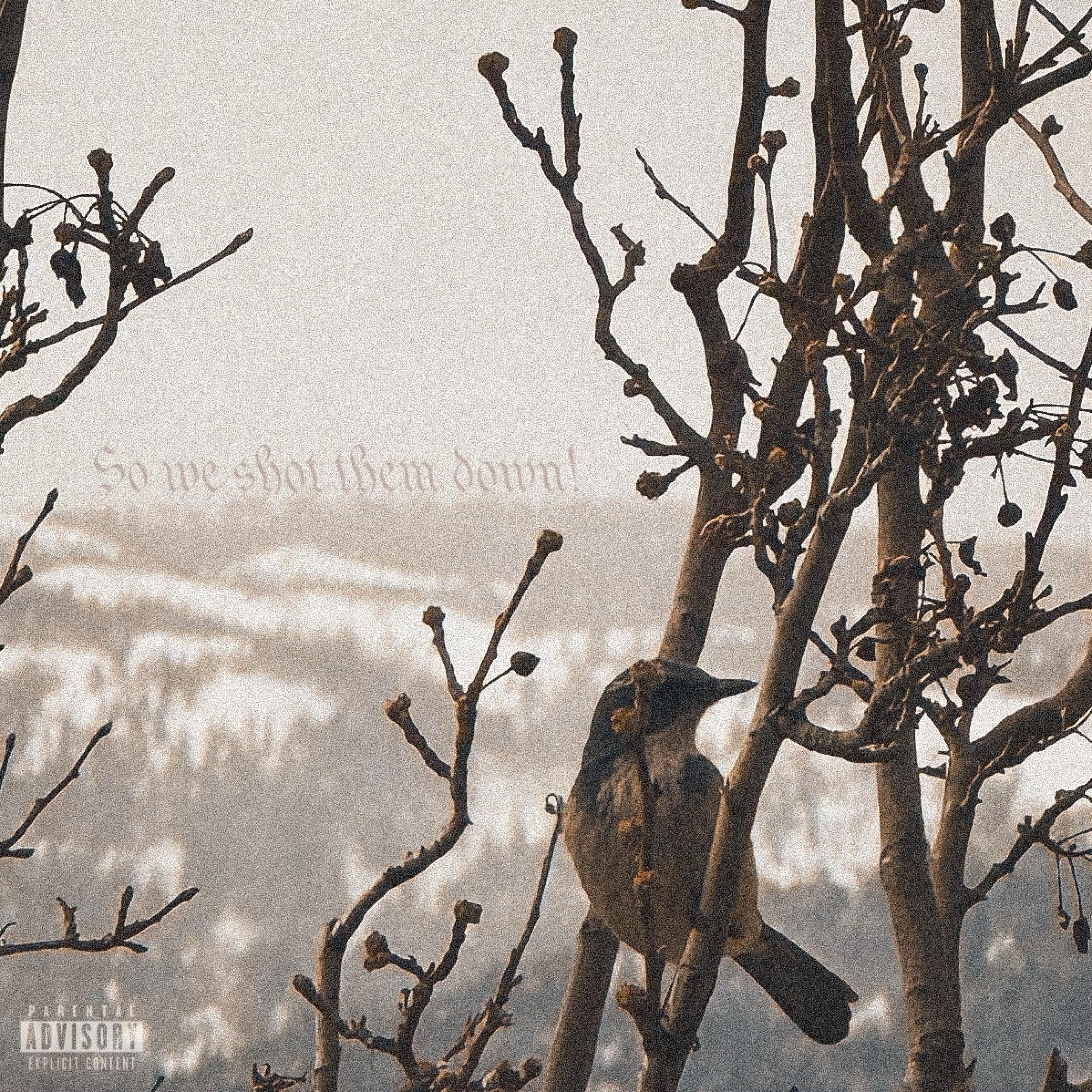 So we shot them down! - Kenny Moss - 专辑 - 网易云音乐