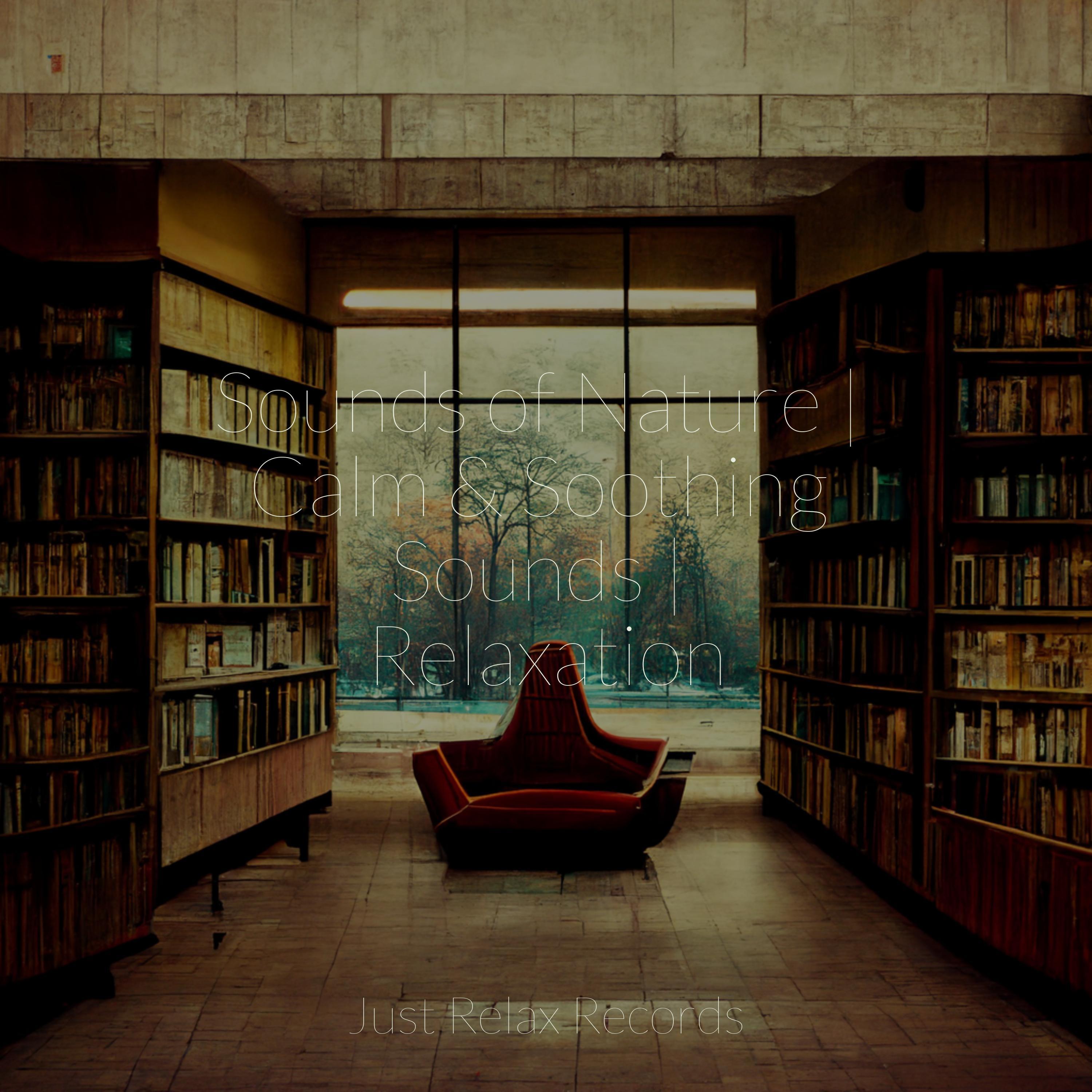 Harmonious Blossom Bliss - Thunderstorm Sound Bank/Pro Sound Effects ...