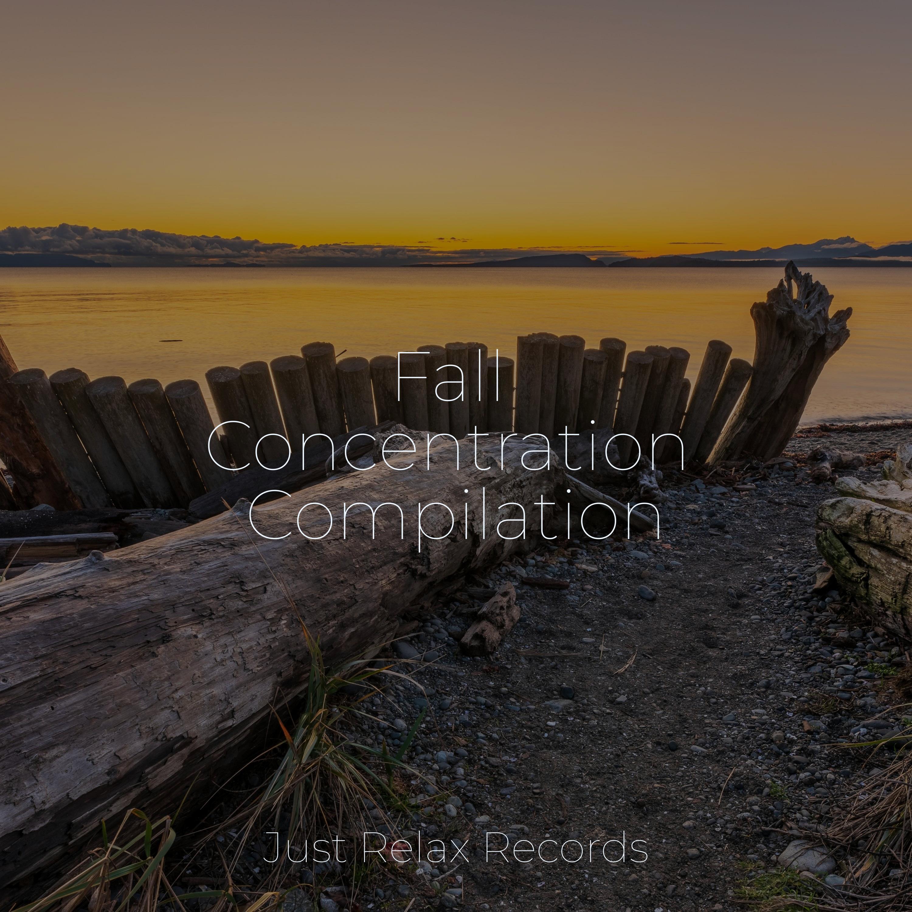 Fall Concentration Compilation - Spa Relaxation & Spa - 专辑 - 网易云音乐