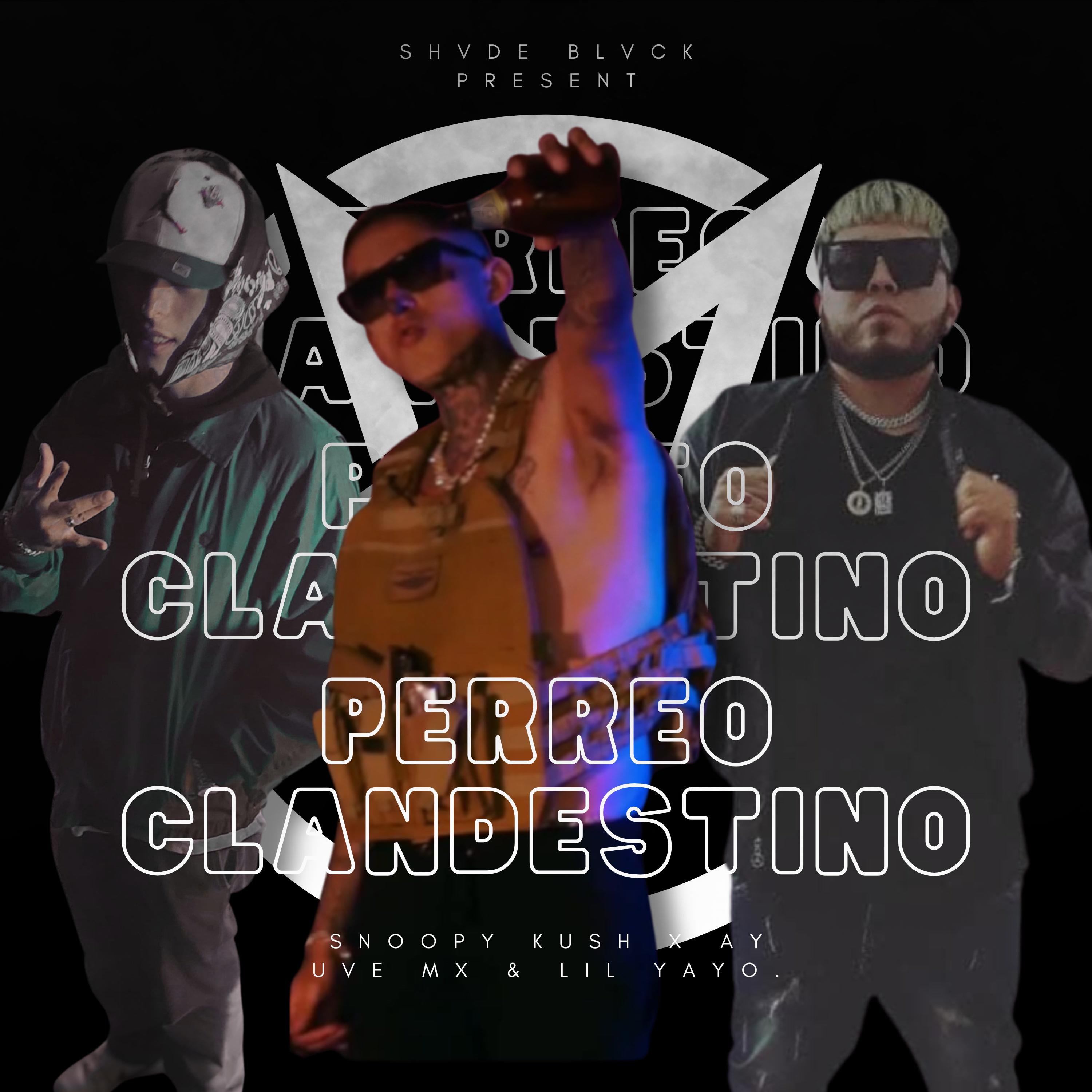 Perreo Clandestino - Shvde Blvck - 专辑 - 网易云音乐