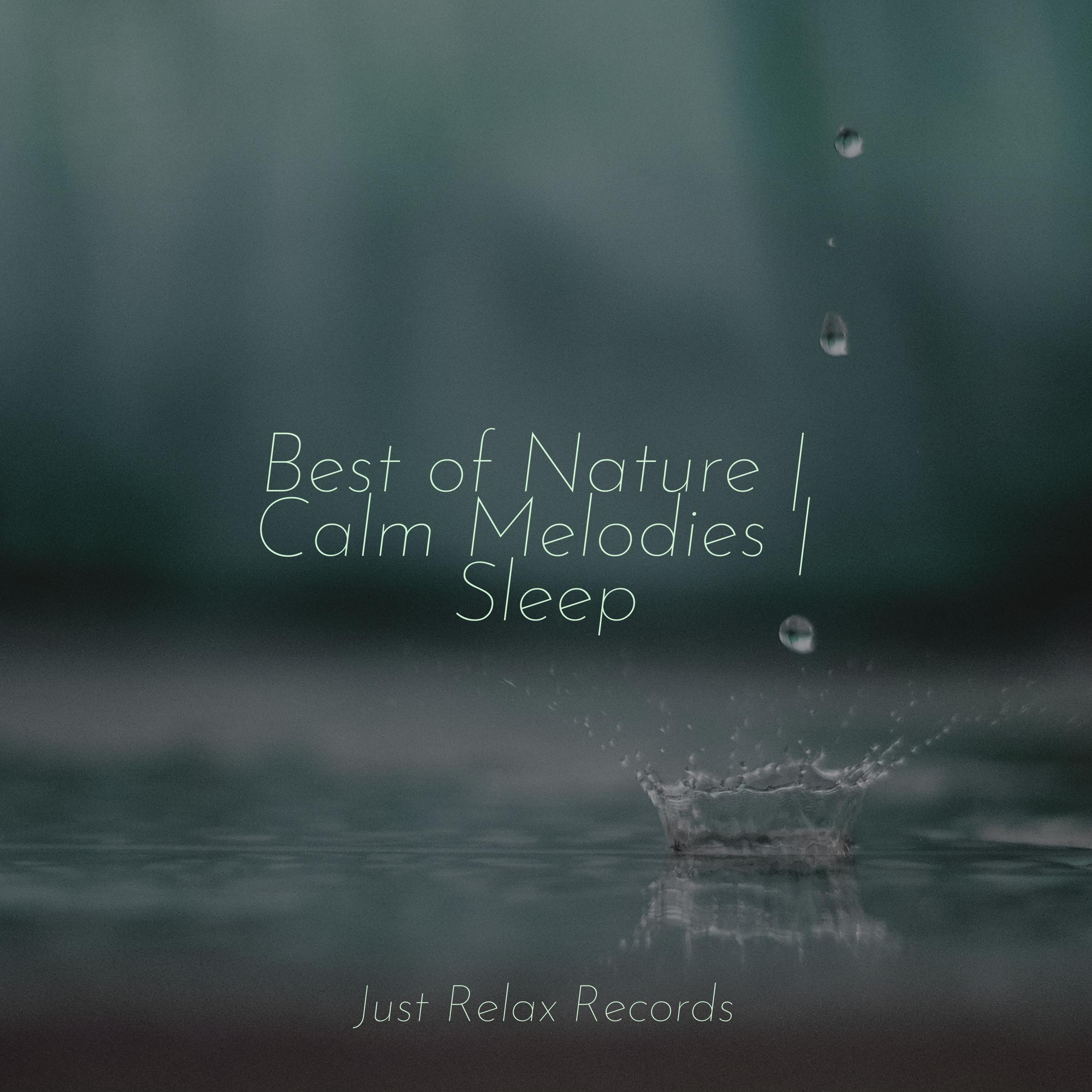 Best of Nature | Calm Melodies | Sleep - Lullabyes - 专辑 - 网易云音乐
