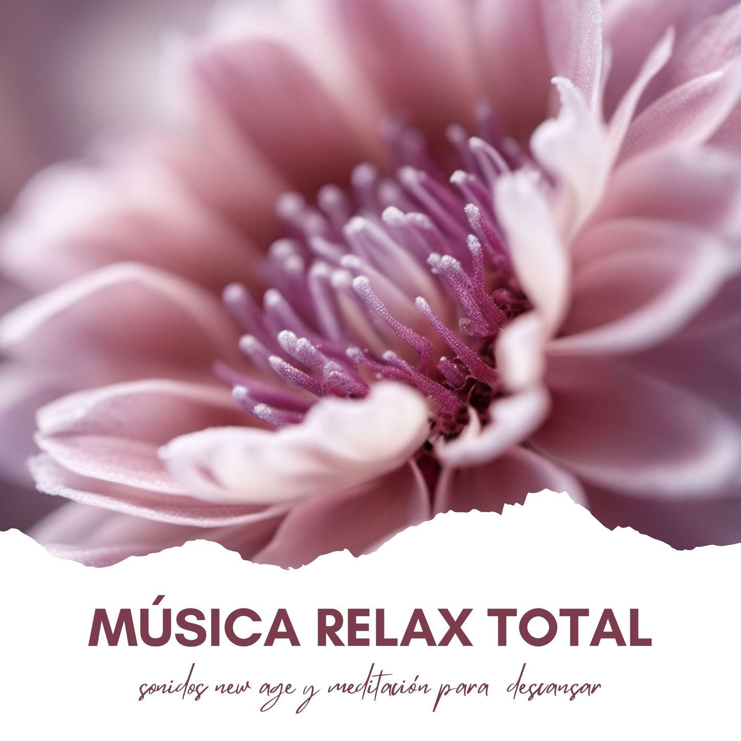 Sin Estrés - José Perfecto - 单曲 - 网易云音乐