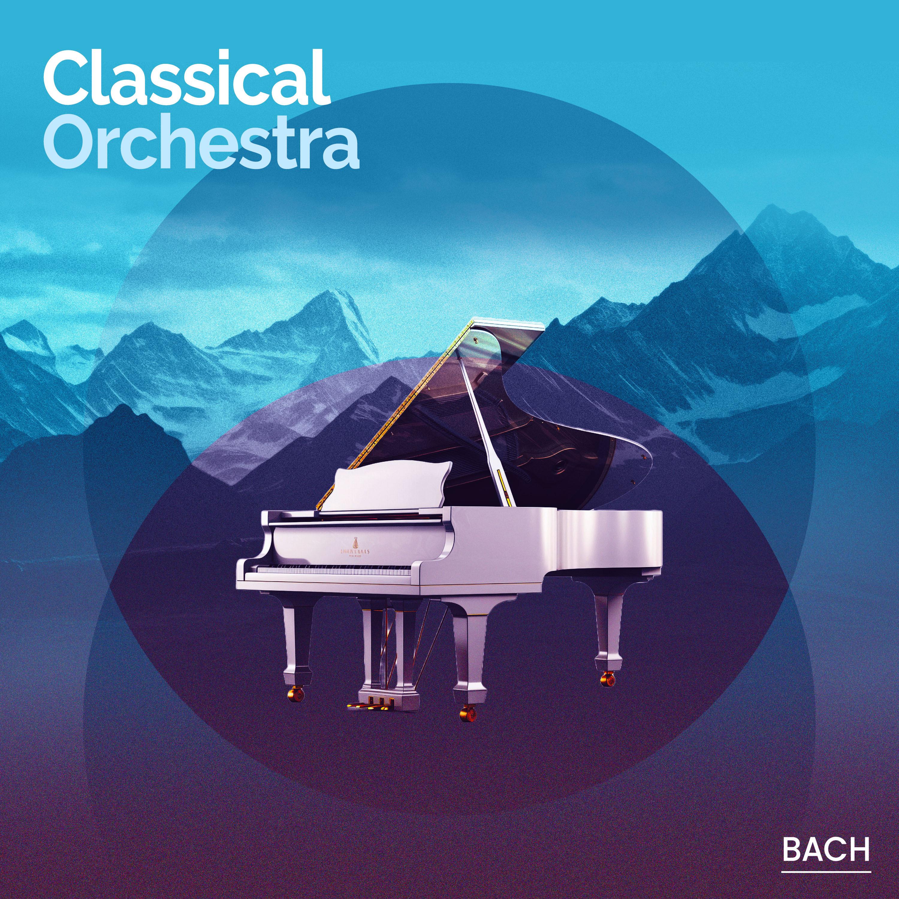 Theme Quality - Bach - 单曲 - 网易云音乐