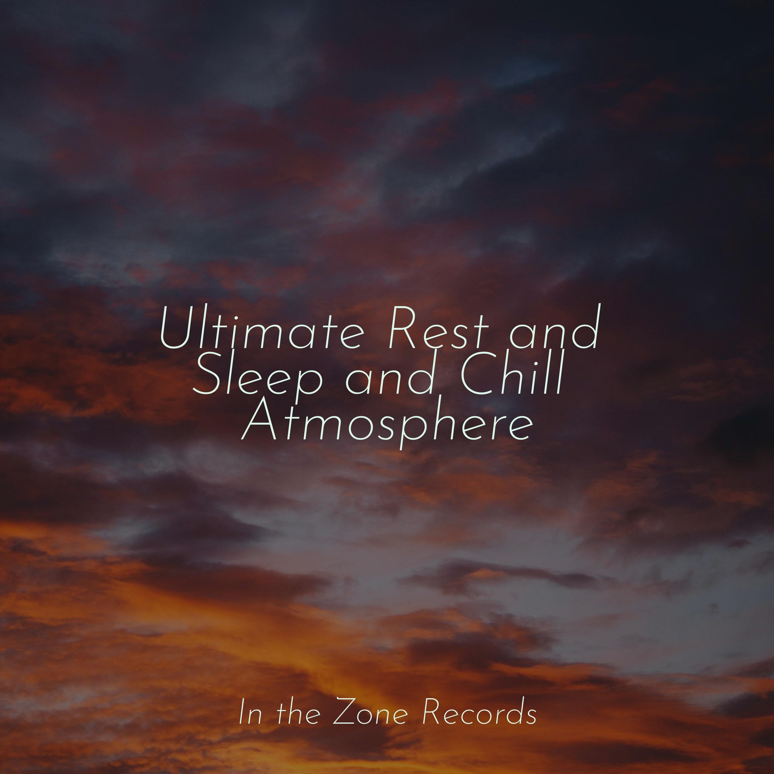 Ultimate Rest and Sleep and Chill Atmosphere - Reiki Tribe - 专辑 - 网易云音乐