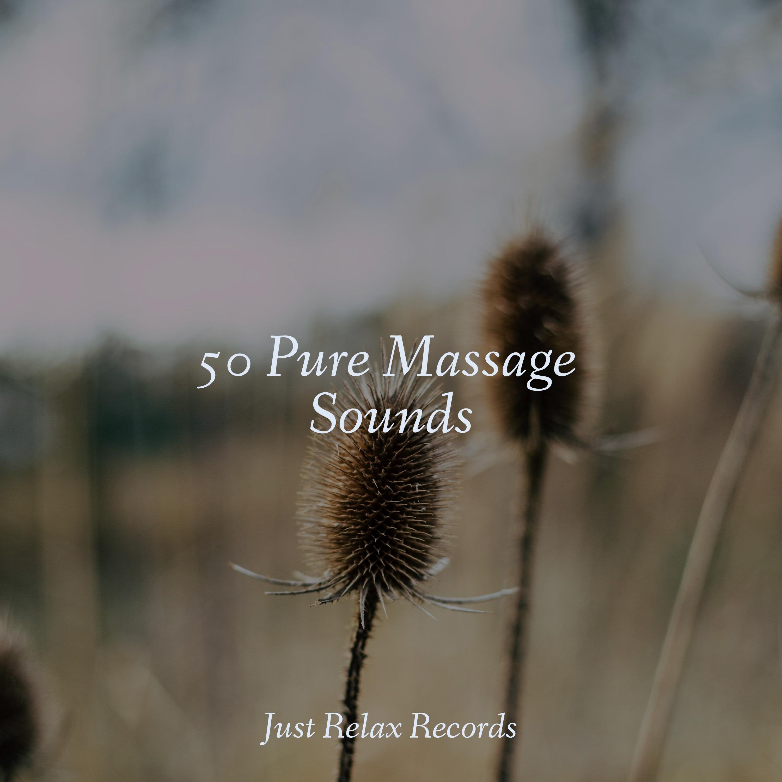 Harvest's Luminous Lullaby - Relajacion Del Mar/Musica para Dormir ...