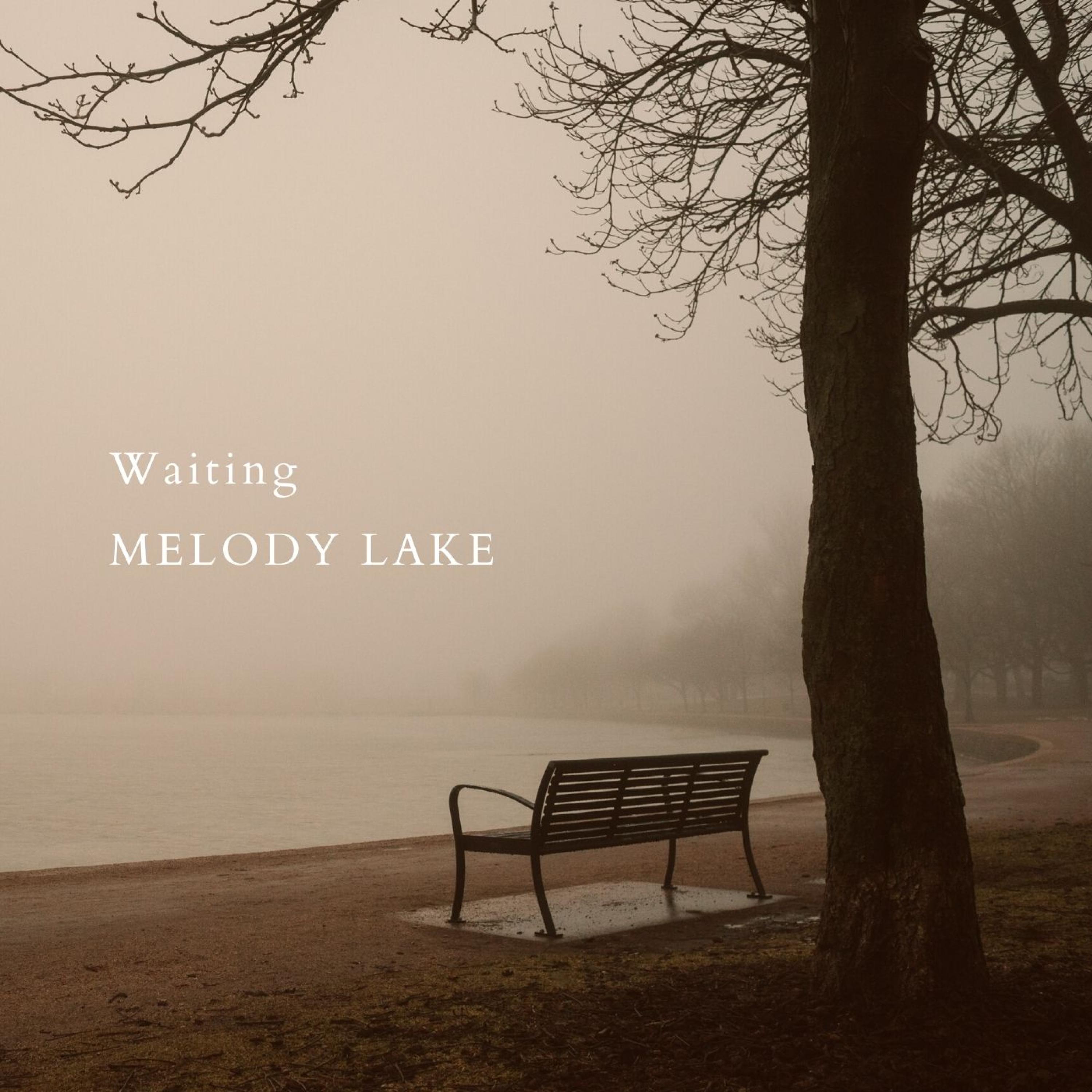 Sometimes We Wait - Melody Lake - 单曲 - 网易云音乐