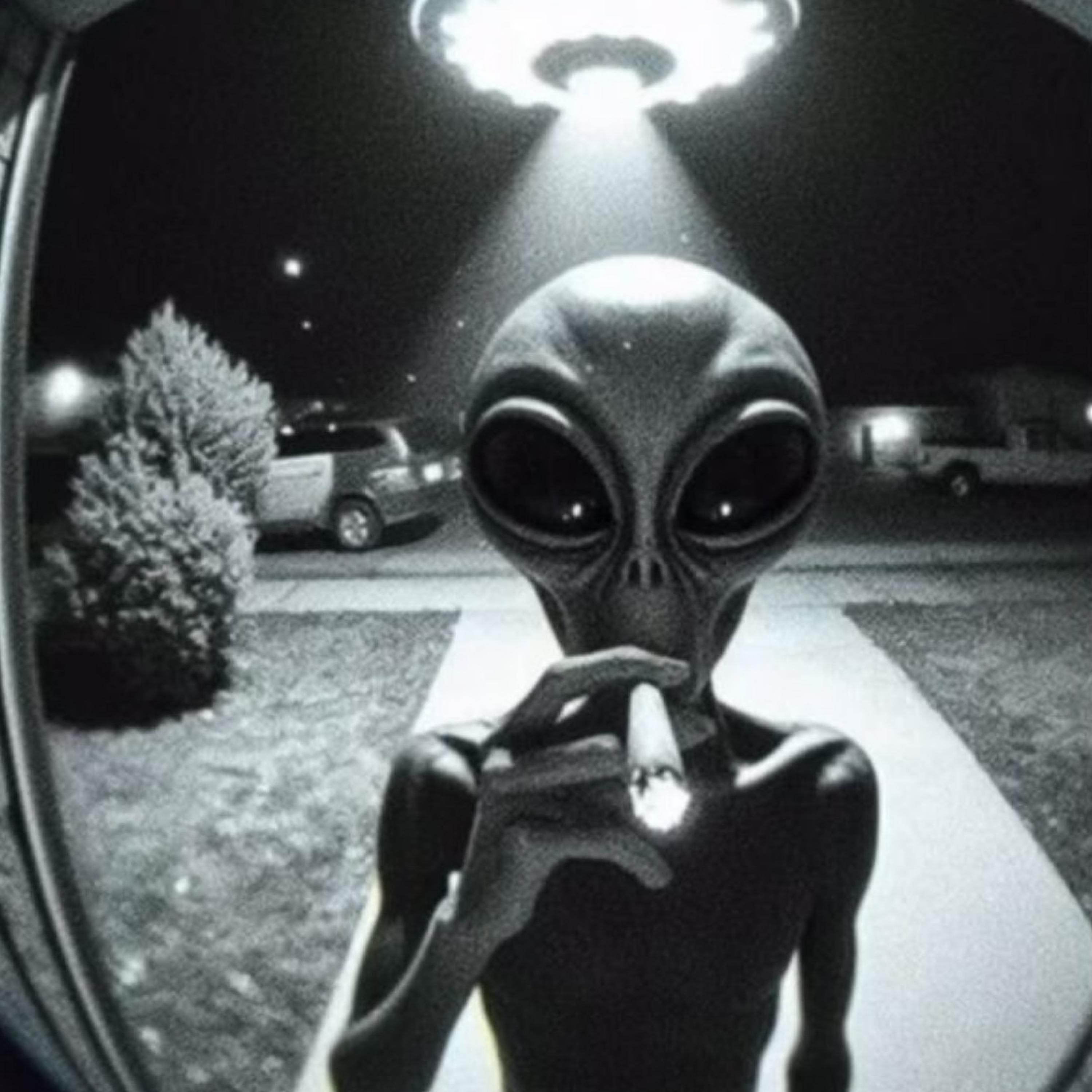 New Trip (Afro Experimental Type Beat) - Ransom Beatz - 单曲 - 网易云音乐