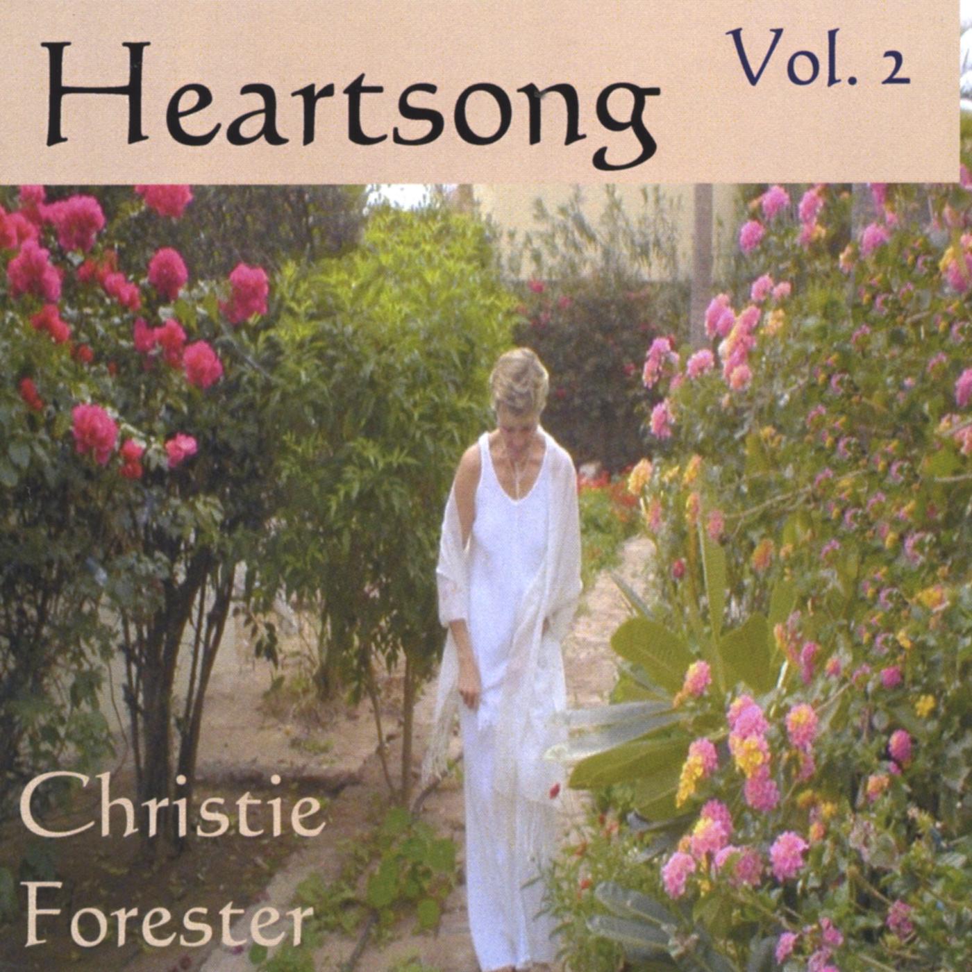 An Embrace Of Memories - Christie Forester - 单曲 - 网易云音乐