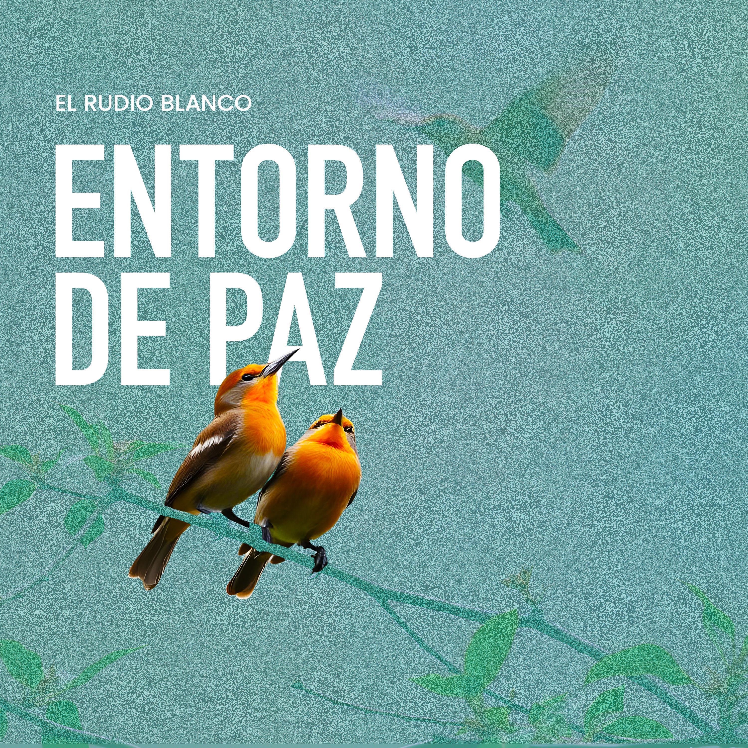 There Softest - El Rudio Blanco - 单曲 - 网易云音乐